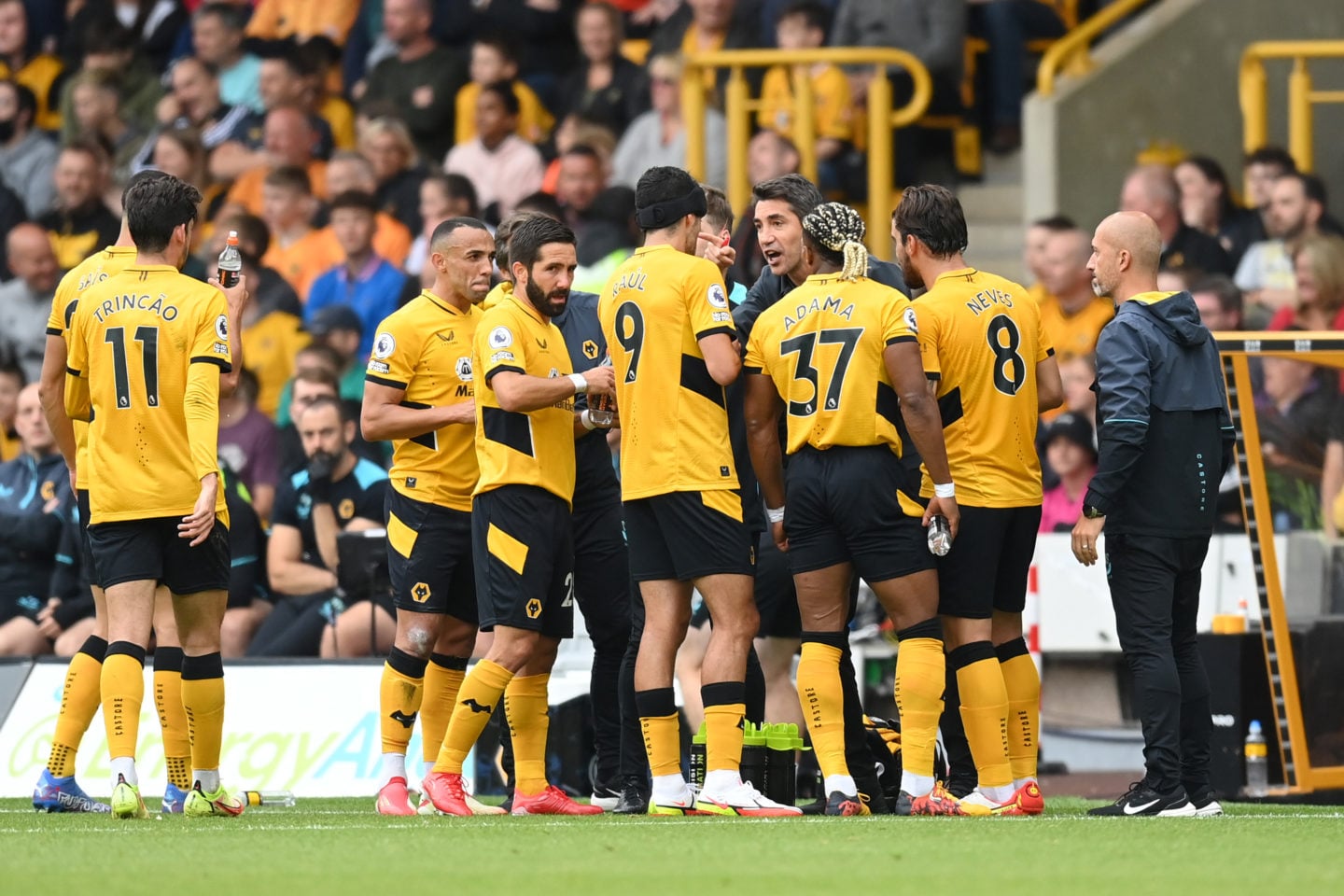 February could be season-defining for Wolves as new fixture list drops