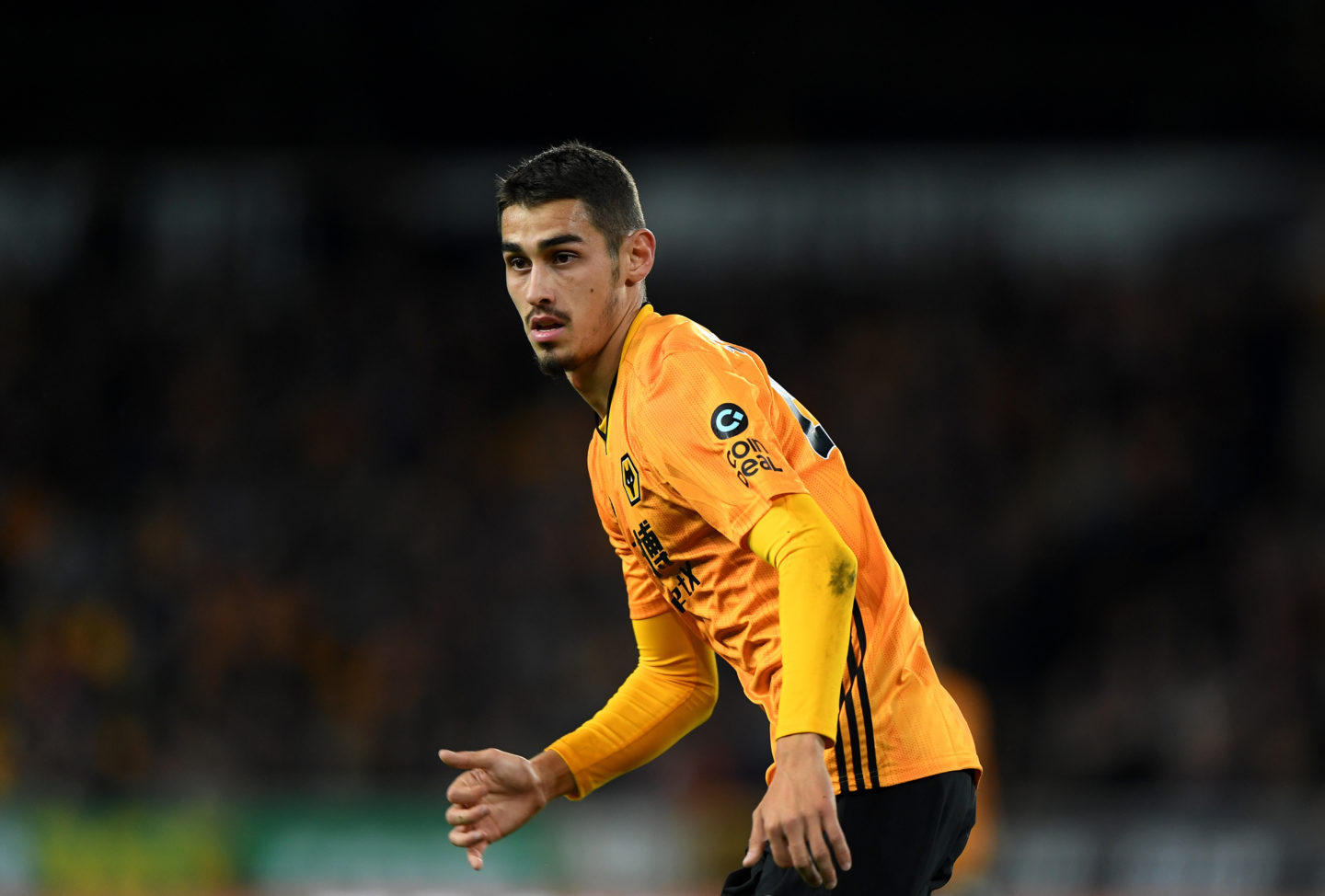 Shabani aiming to return to Wolves training next month