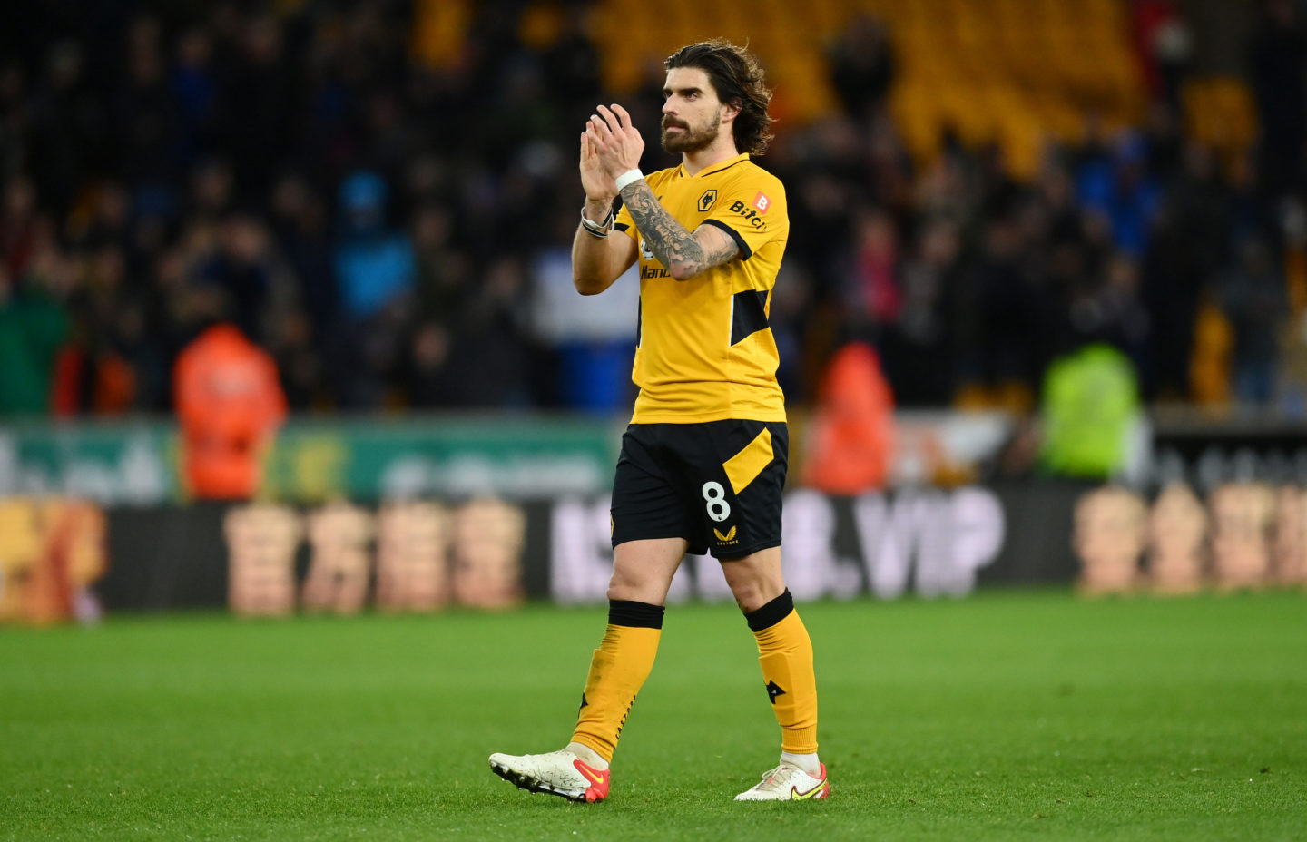 Paul Cook raves about 'amazing' Ruben Neves