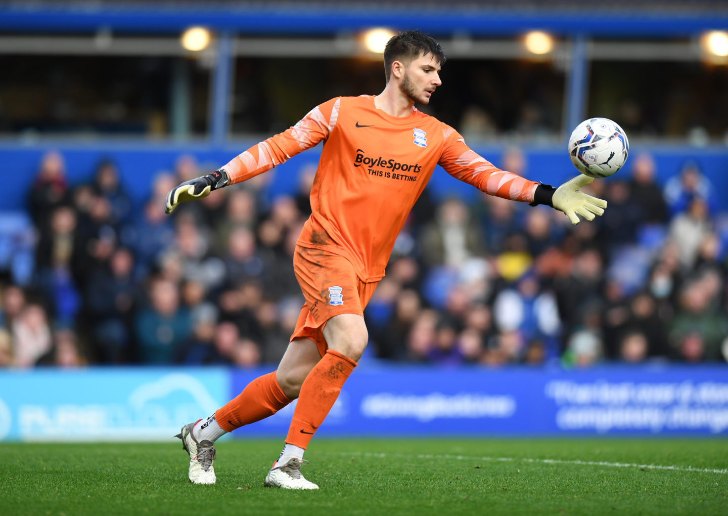 Birmingham have struggled since losing Wolves loanee Matija Sarkic to ...