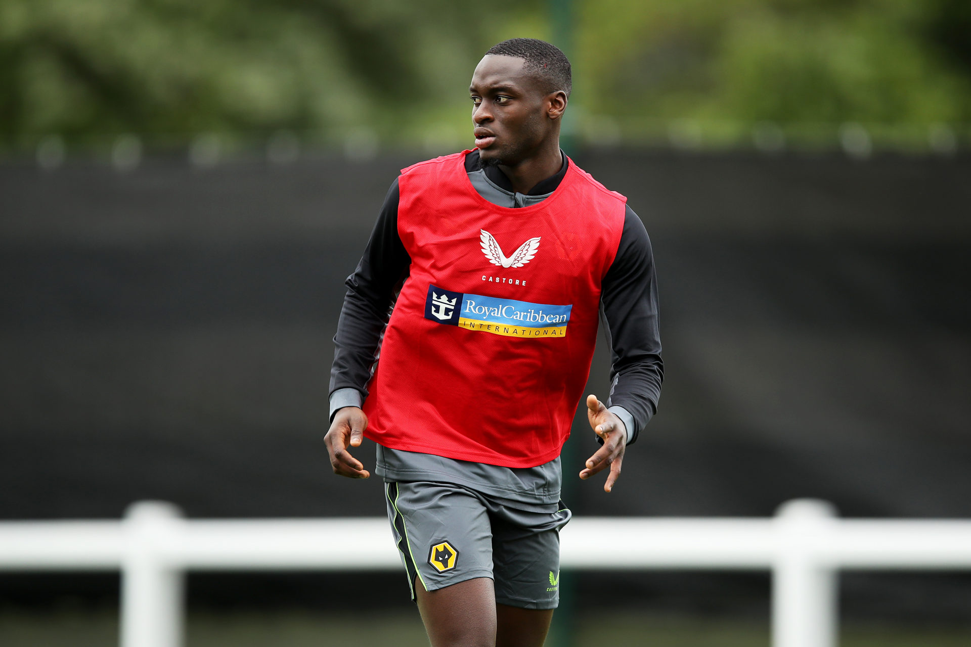 Toti Gomes praises three Wolves teammates for helping him to break through