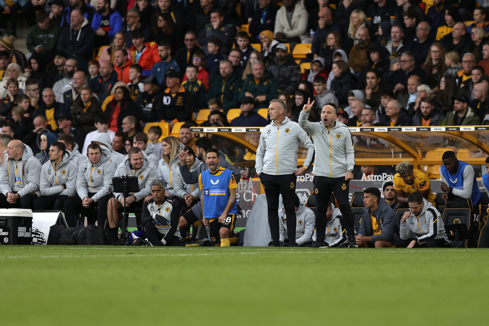 Wolves confirm Steve Davis will stay in interim charge until 2023