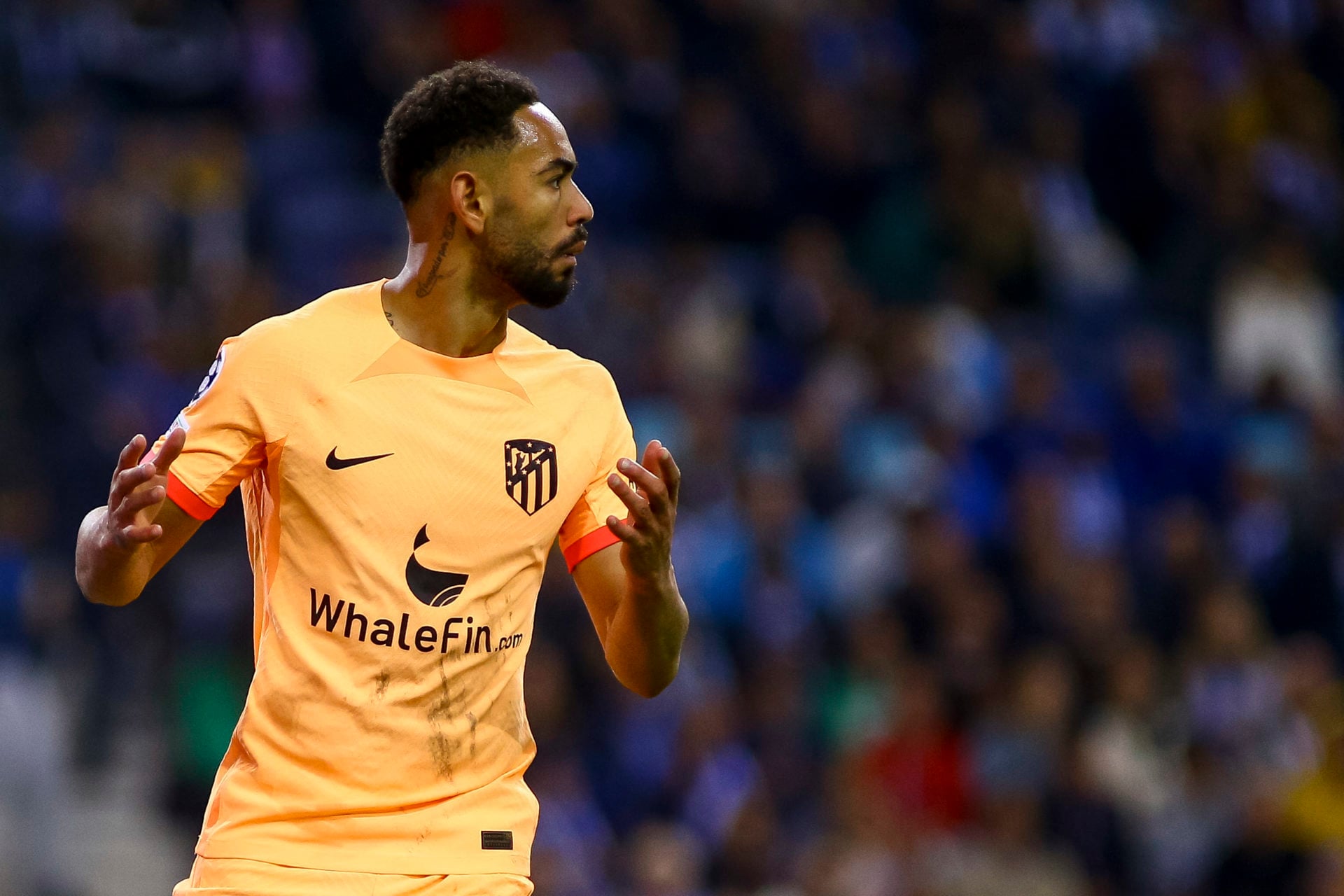 The shirt numbers available to Matheus Cunha at Wolves