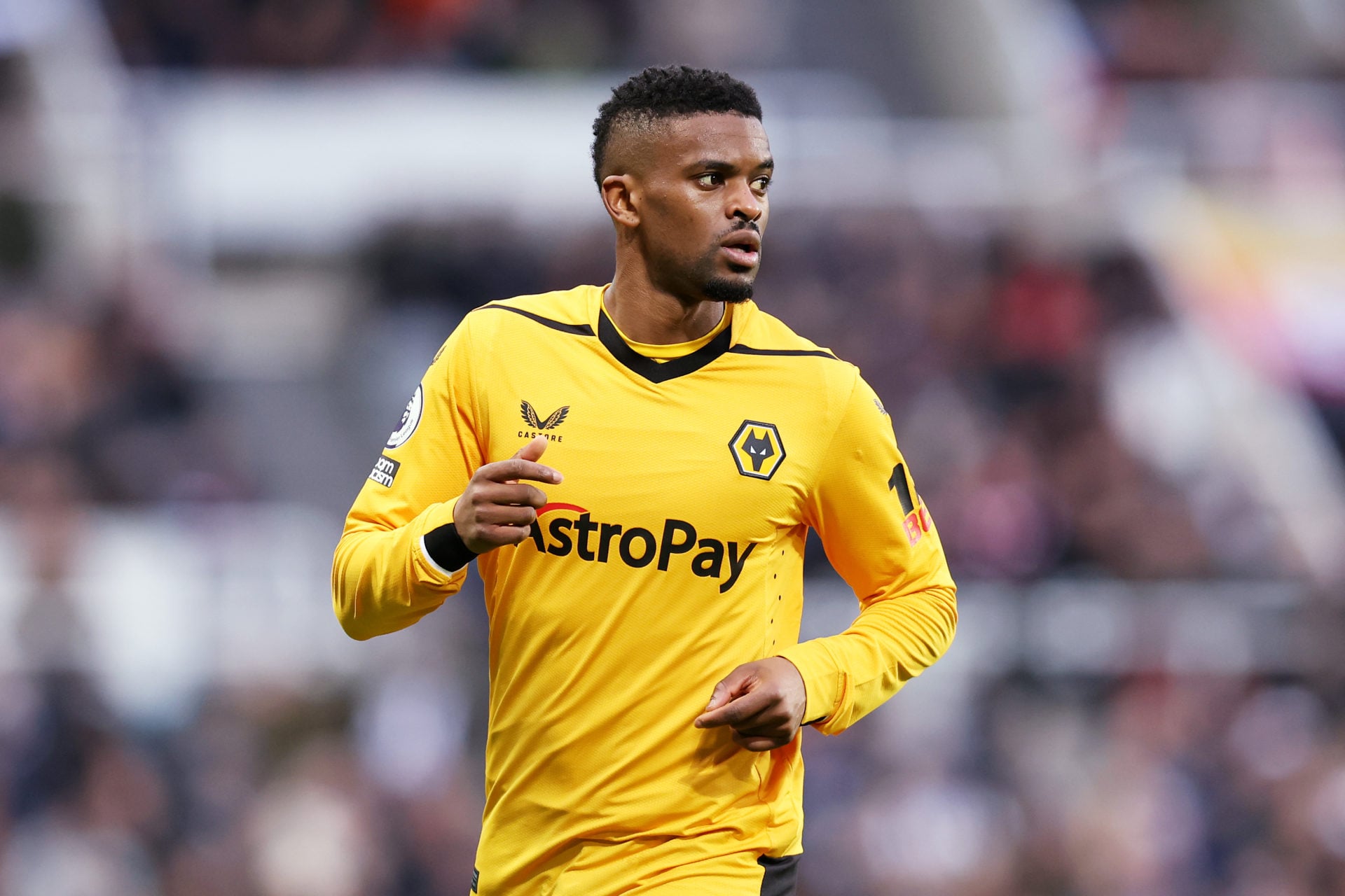 Wolverhampton Wanderers Squad - Molineux News