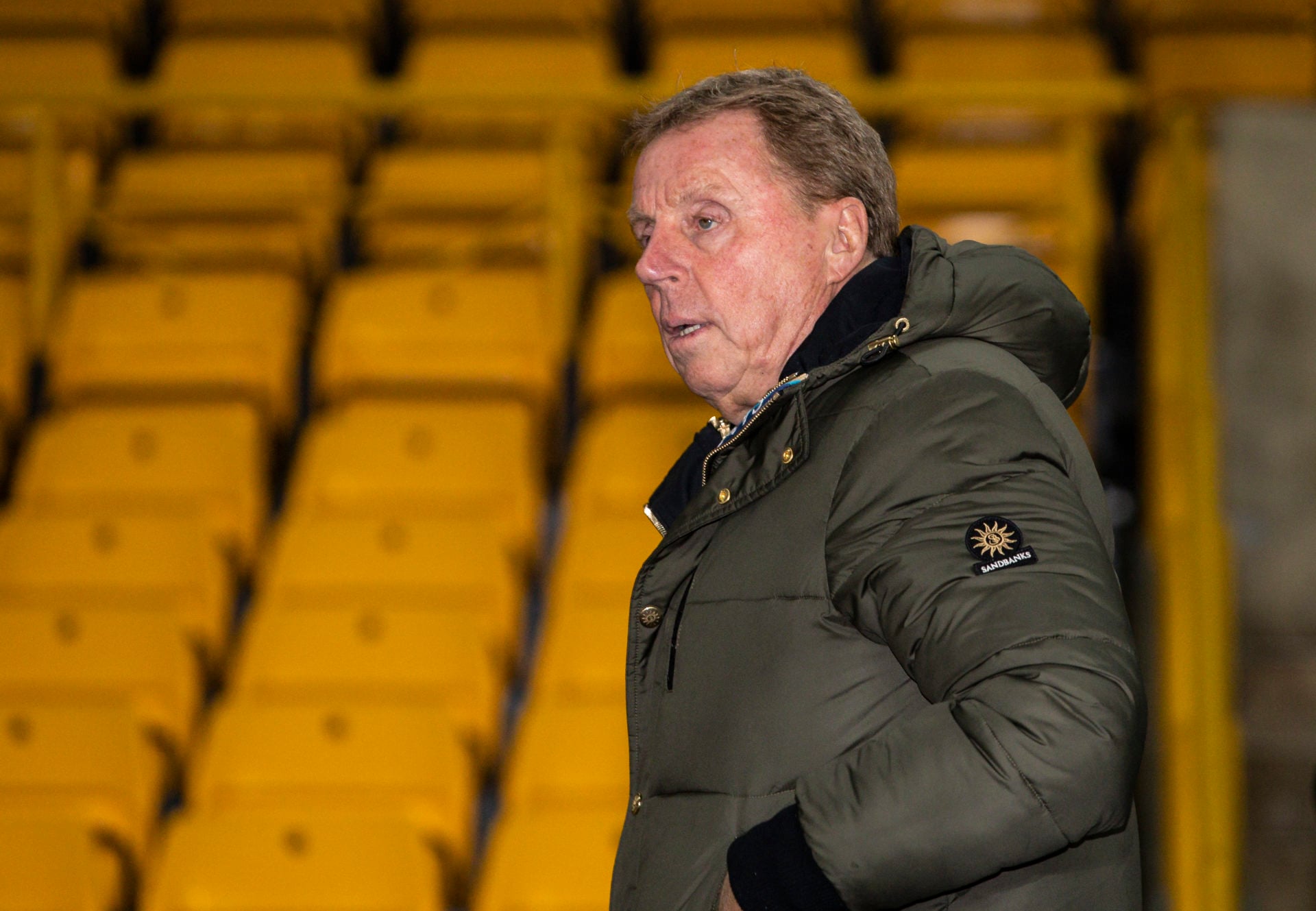 Harry Redknapp now shares Wolves survival chances after back-to-back wins