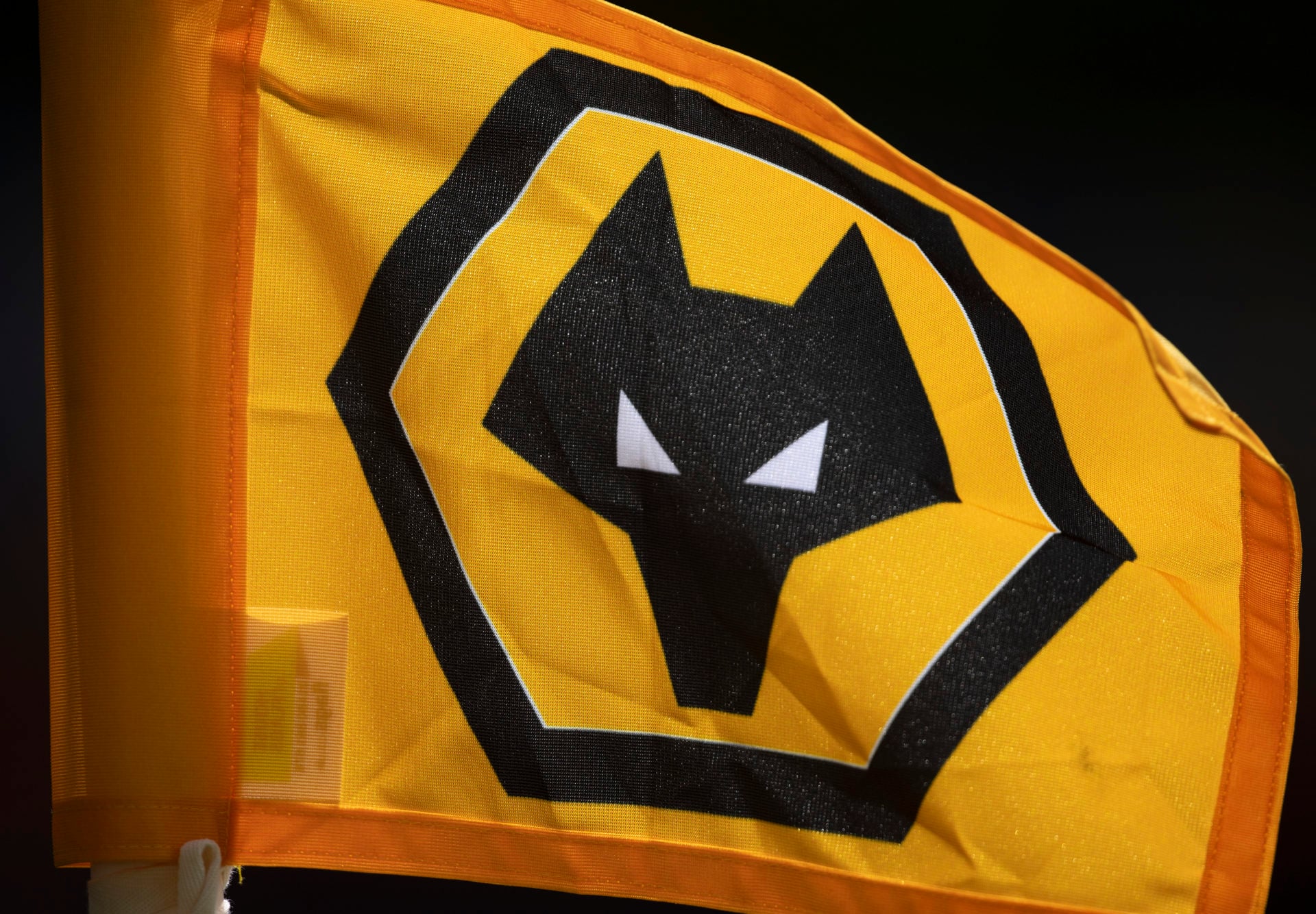 Wolverhampton Wanderers Club Information - Molineux News