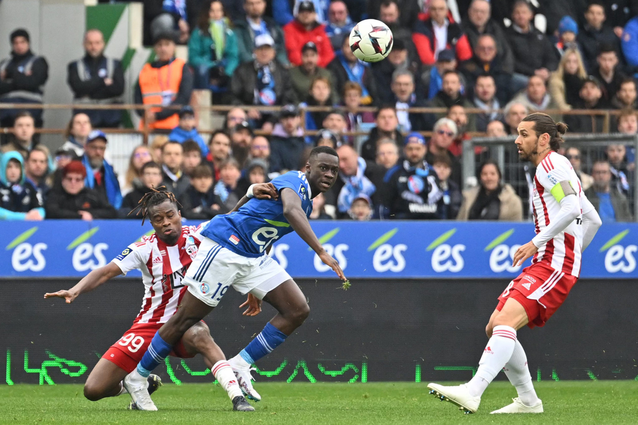 Wolves transfer news: Habib Diarra emerges as target for RC Lens