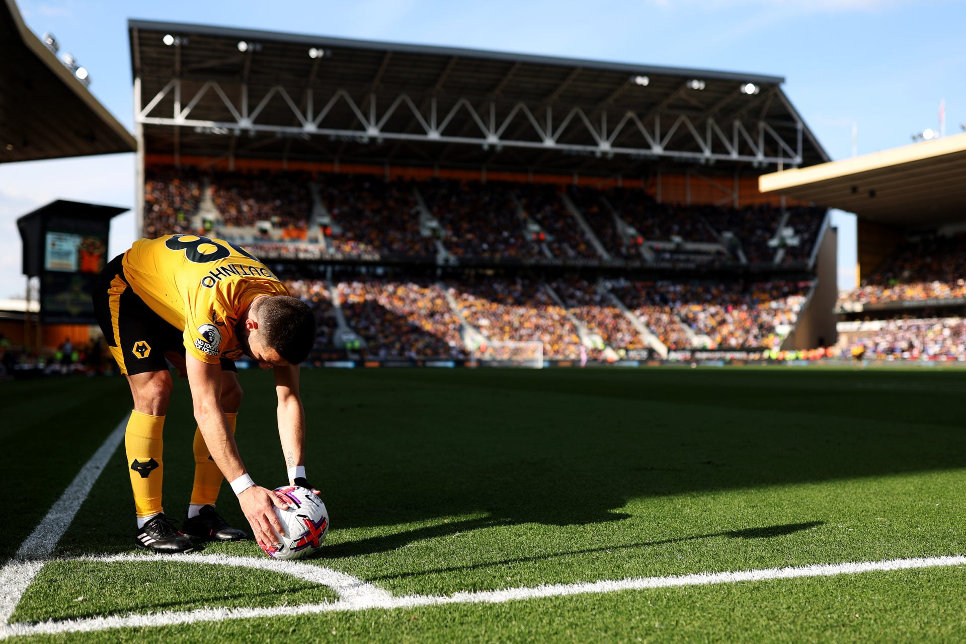 Dave Edwards says Joao Moutinho is the best player he's ever seen at Wolves