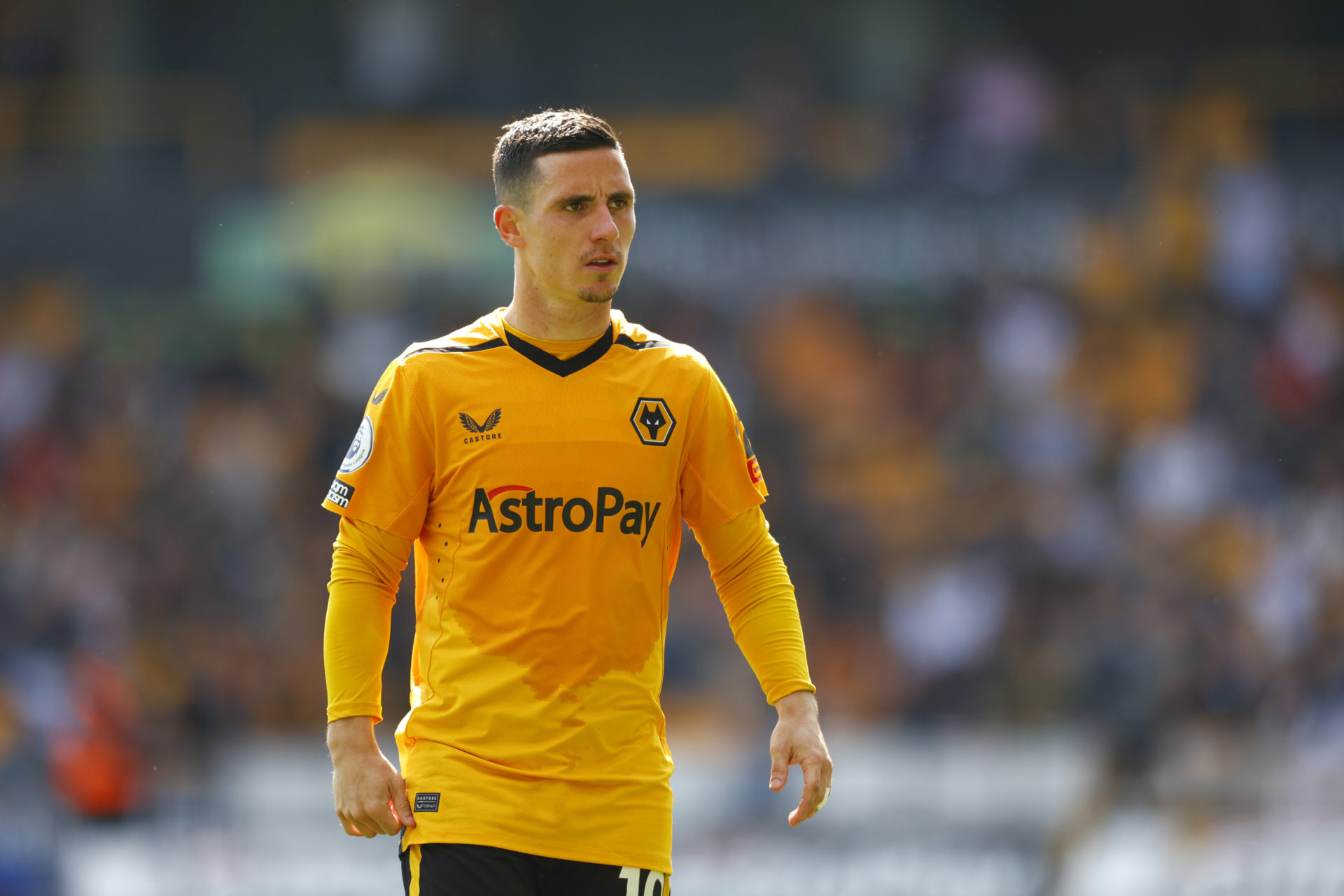 Wolves loanee Daniel Podence becomes European champion after winning ...