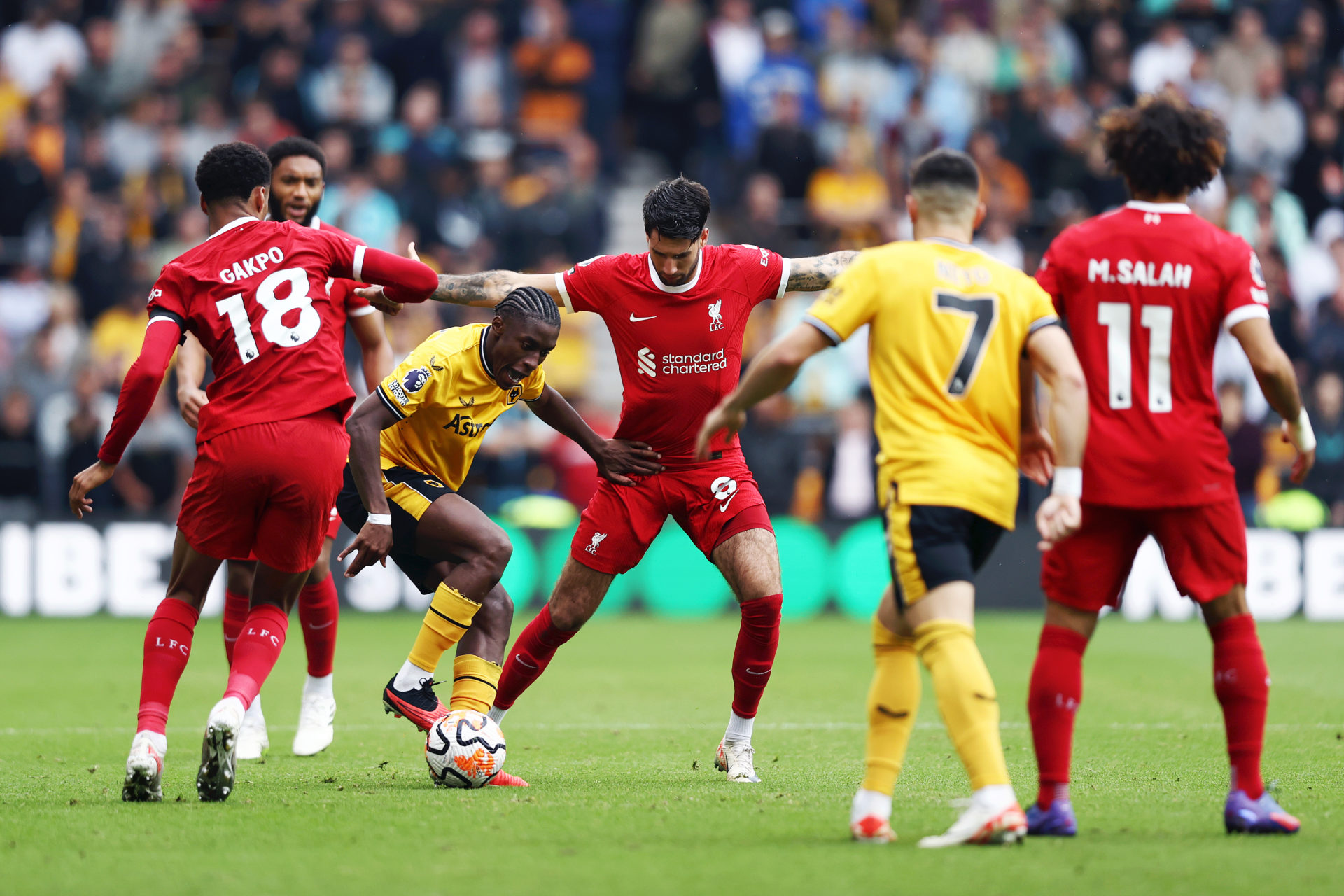 'Really good quality': Pedro Neto wowed by 26-year-old Wolves player ...