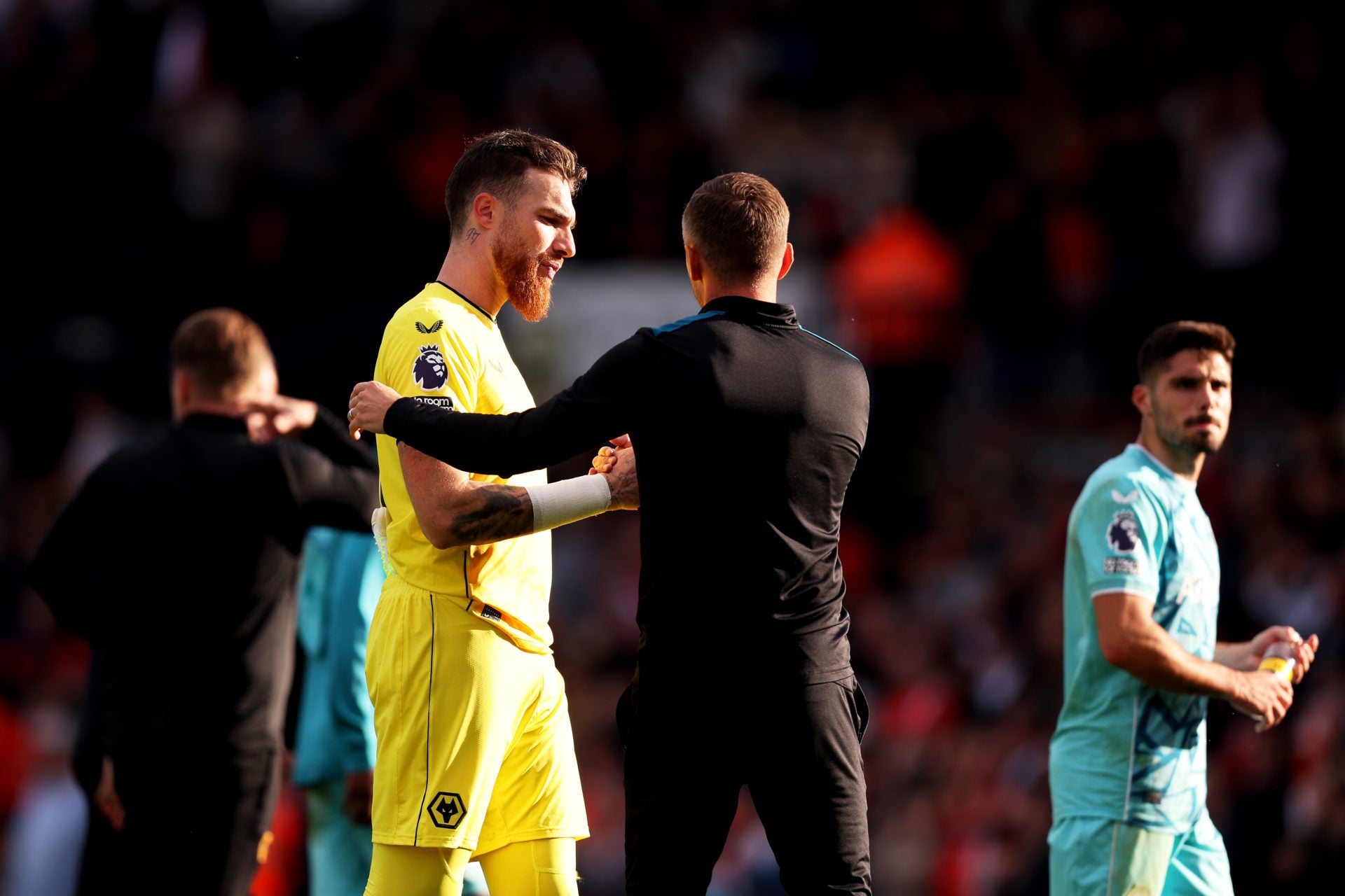 What 30-year-old Wolves player did just before Luton's penalty should ...