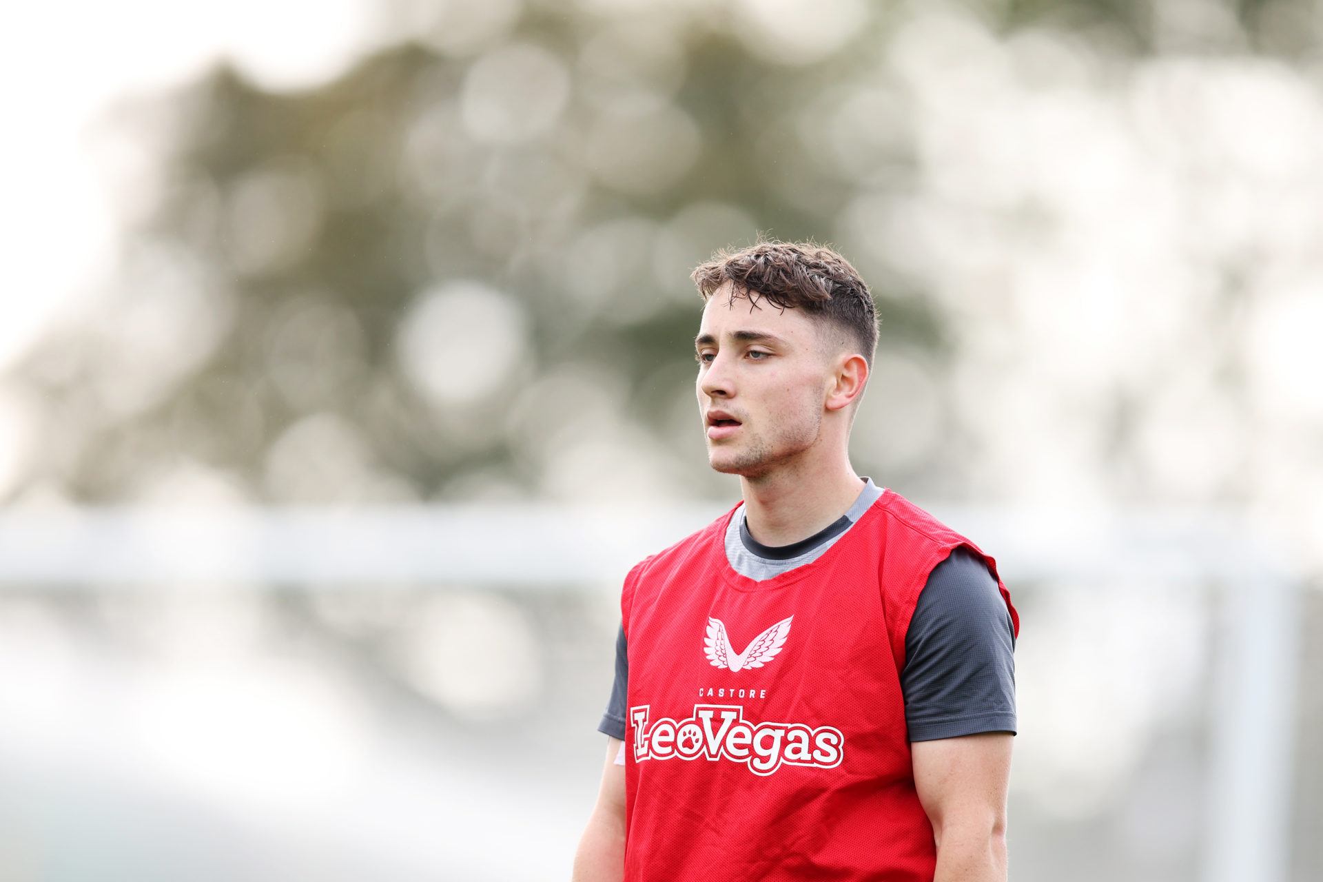 'Class': Joe Hodge says 31-year-old Wolves player is such a top ...