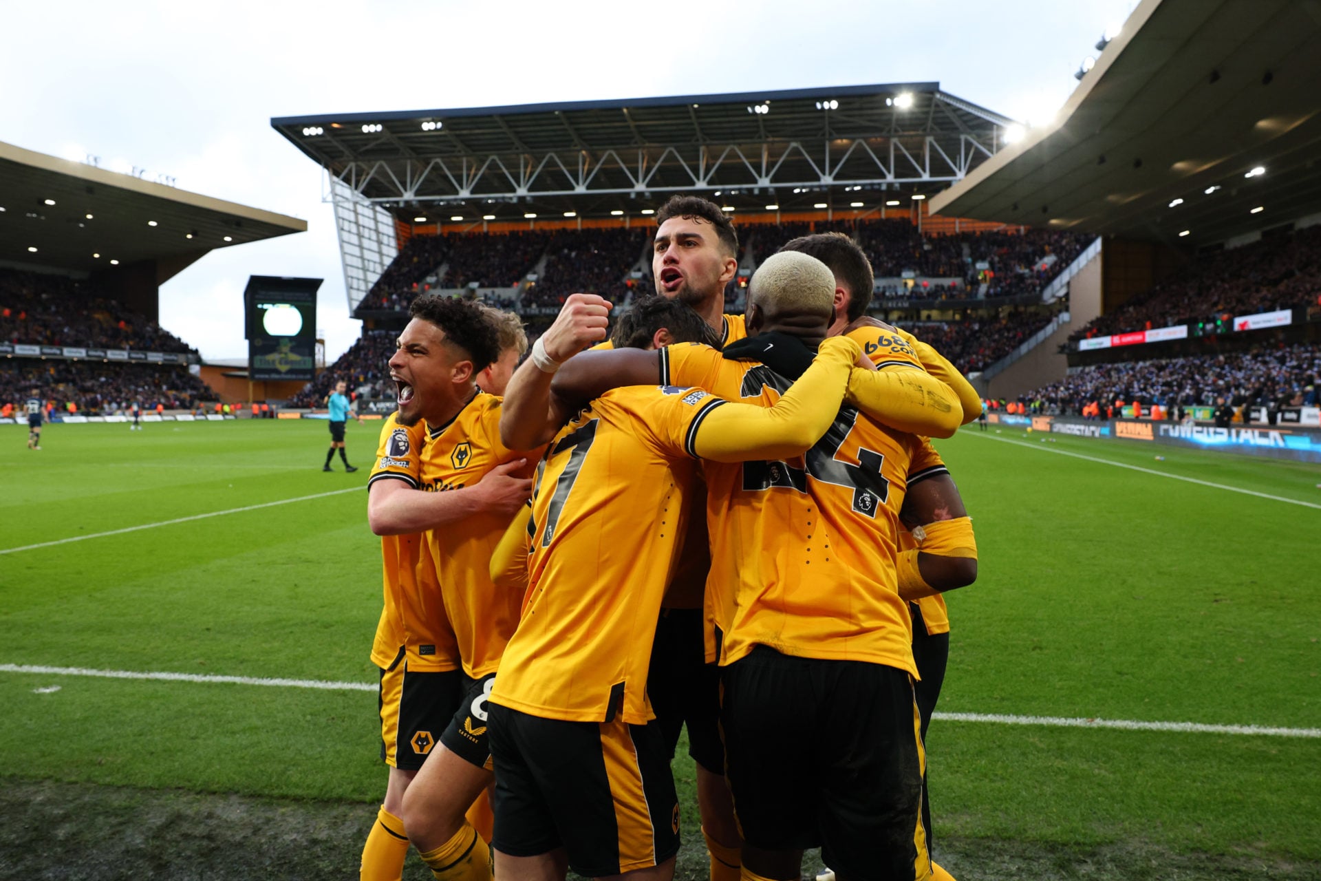 Wolves player currently 'disappointed' with his game time at Molineux