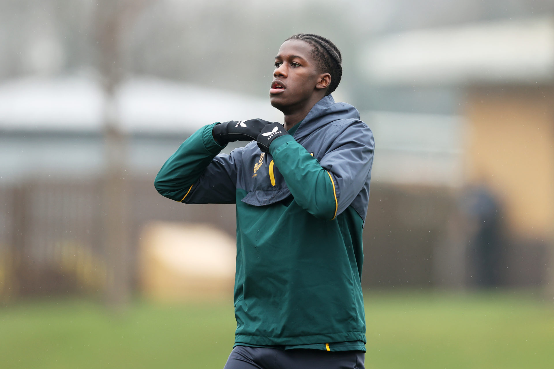 Gary O'Neil could already have the perfect £3m heir to Pedro Neto at Wolves