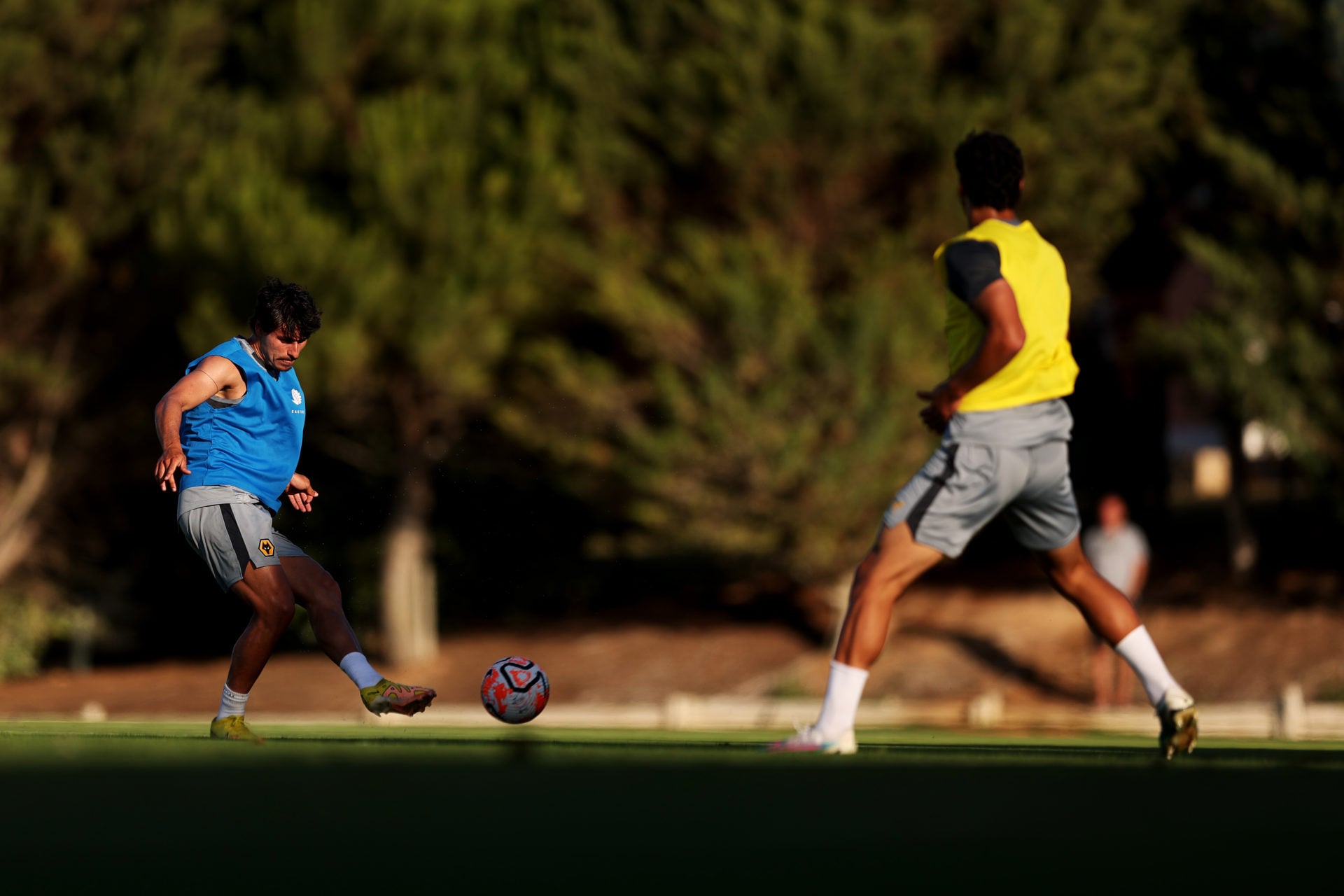 The 'excellent' Wolves star who now has golden chance to finally ...