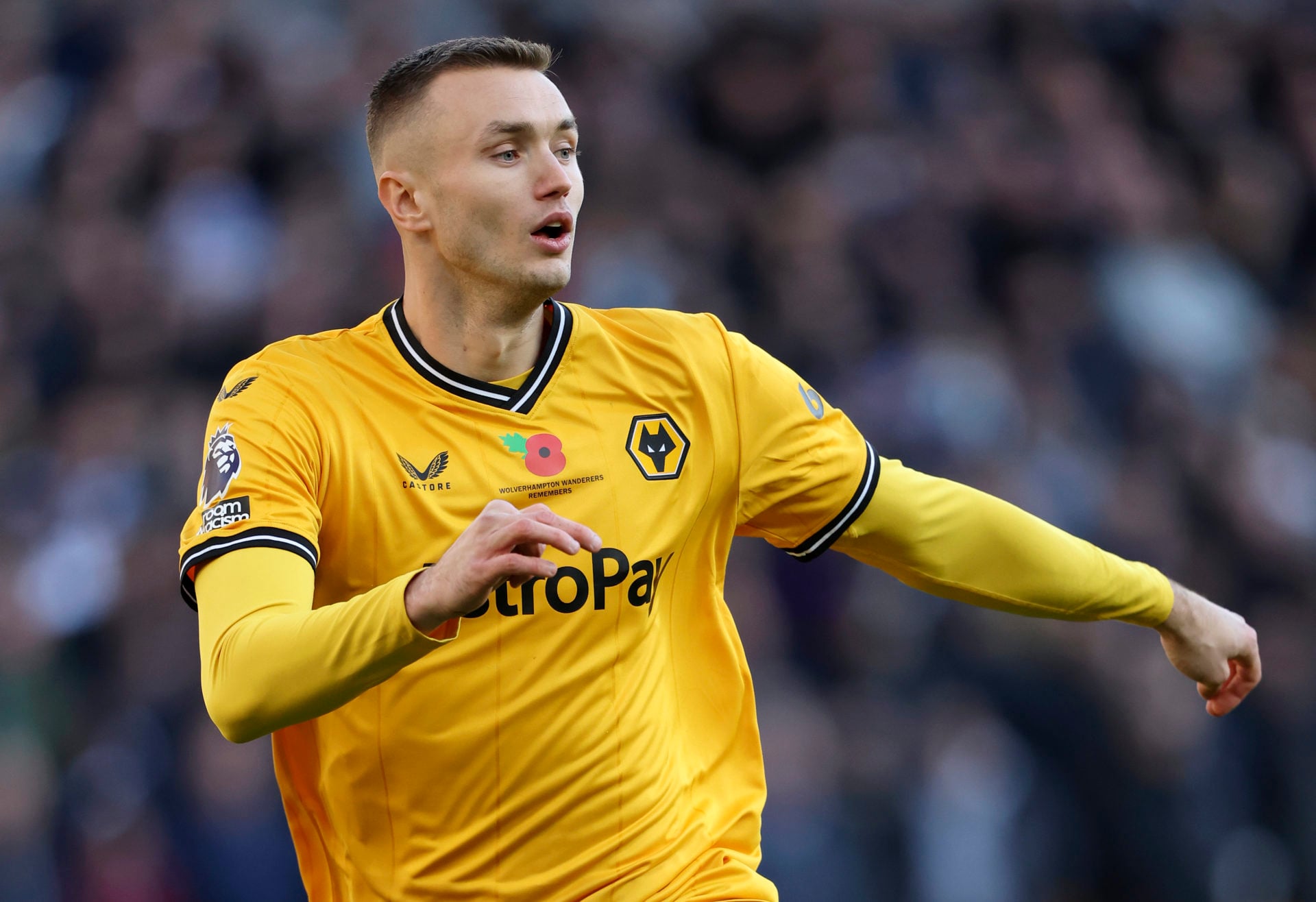 How Sasa Kalajdzic feels about leaving Wolves this summer following ...
