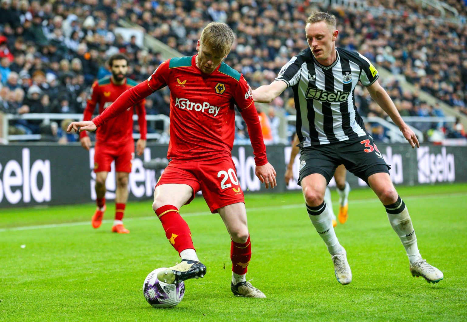 Andy Thompson impressed with one 'neat and tidy' Wolves player in ...