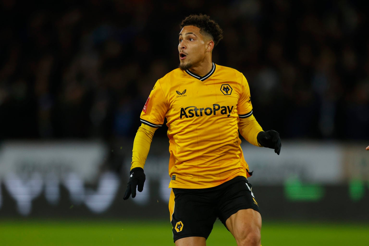 Who is Joao Gomes? Everything you need to know about Wolves' ferocious ...