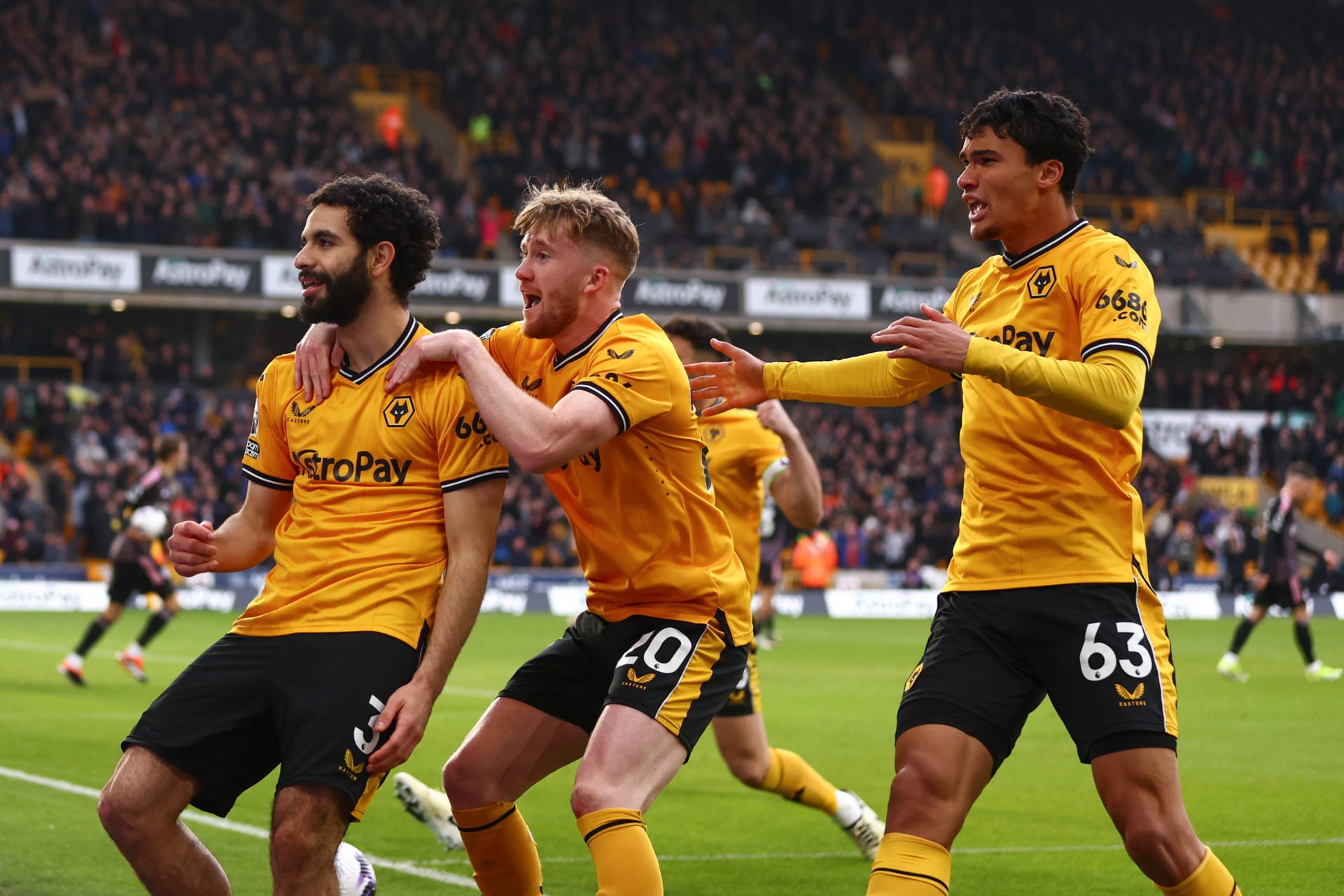 Wolves hailed for announcing ‘excellent’ news to the joy of the ...