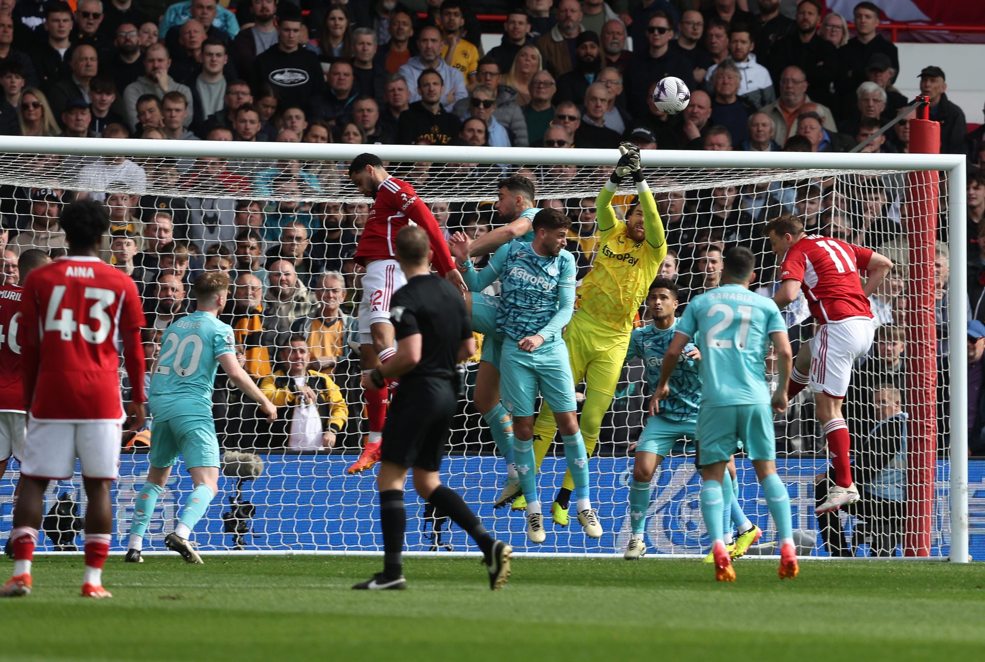 Some Wolves coaches said to be unconvinced about 31-year-old star