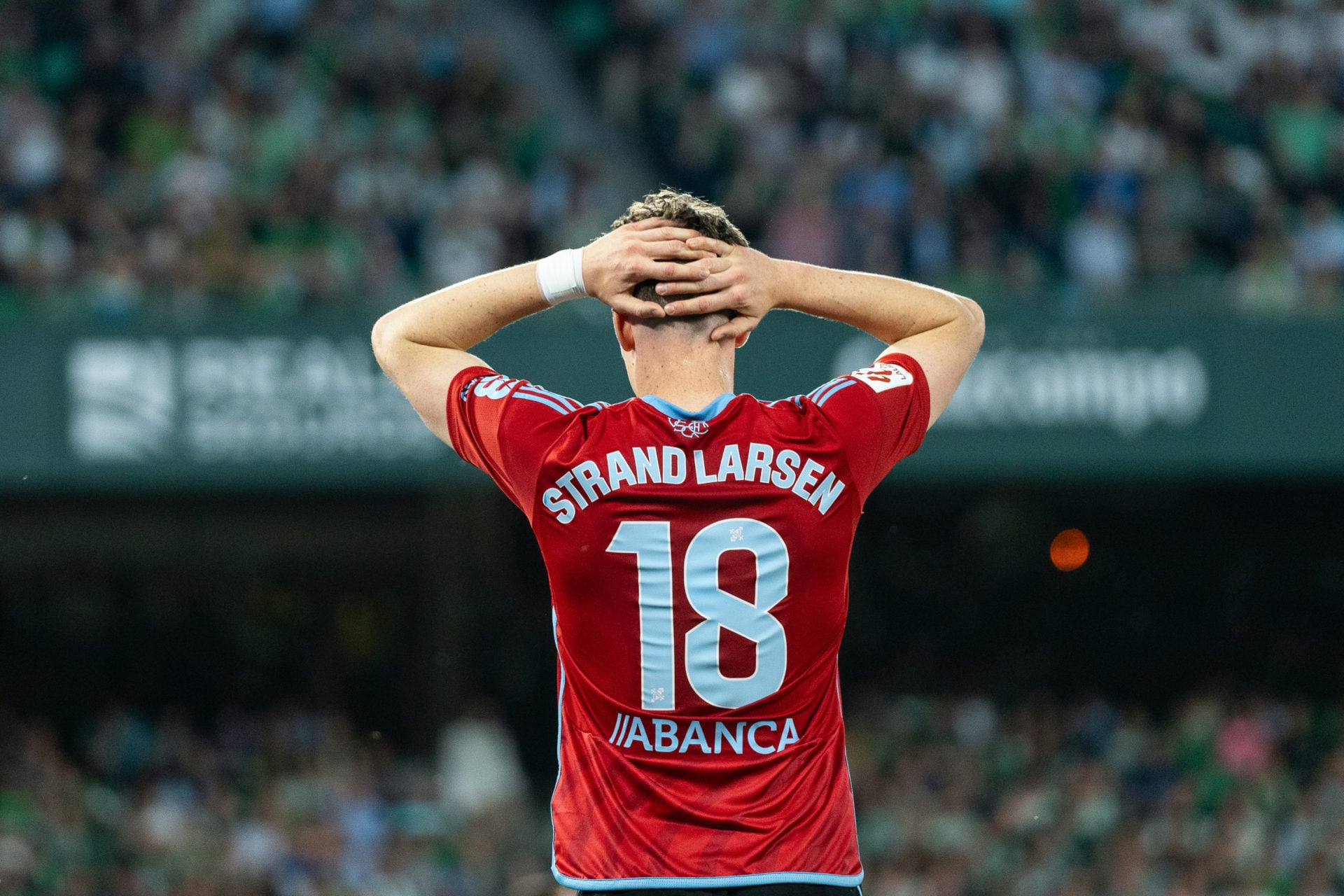 When Wolves could confirm the signing of Jorgen Strand Larsen as key ...