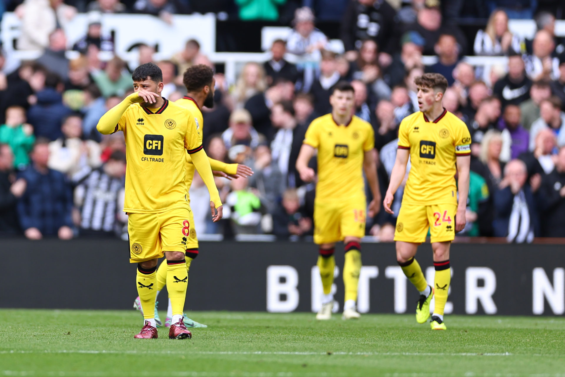 Wolves should trigger the release clause of 'unbelievable' target, he's ...