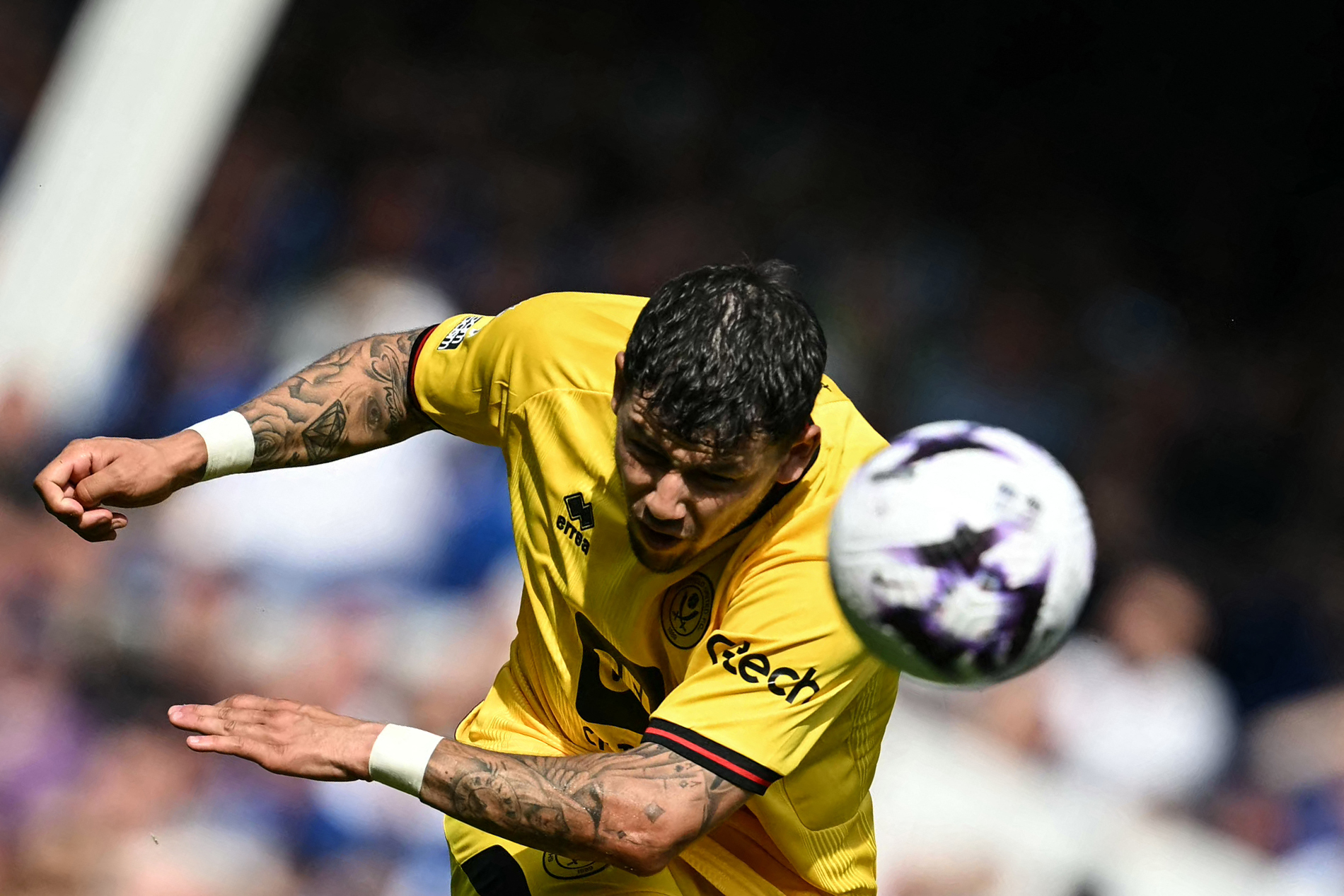 Wolves interested in relegated midfielder with 'real quality'