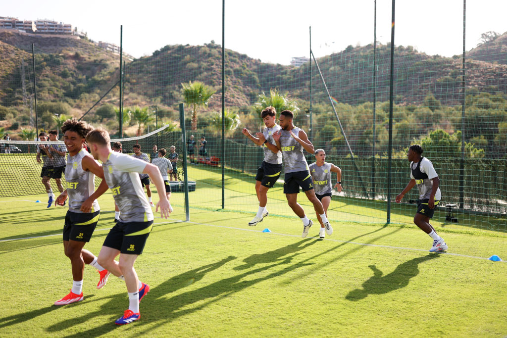 Wolves signing has shown ‘promising and exciting signs’ in pre-season ...