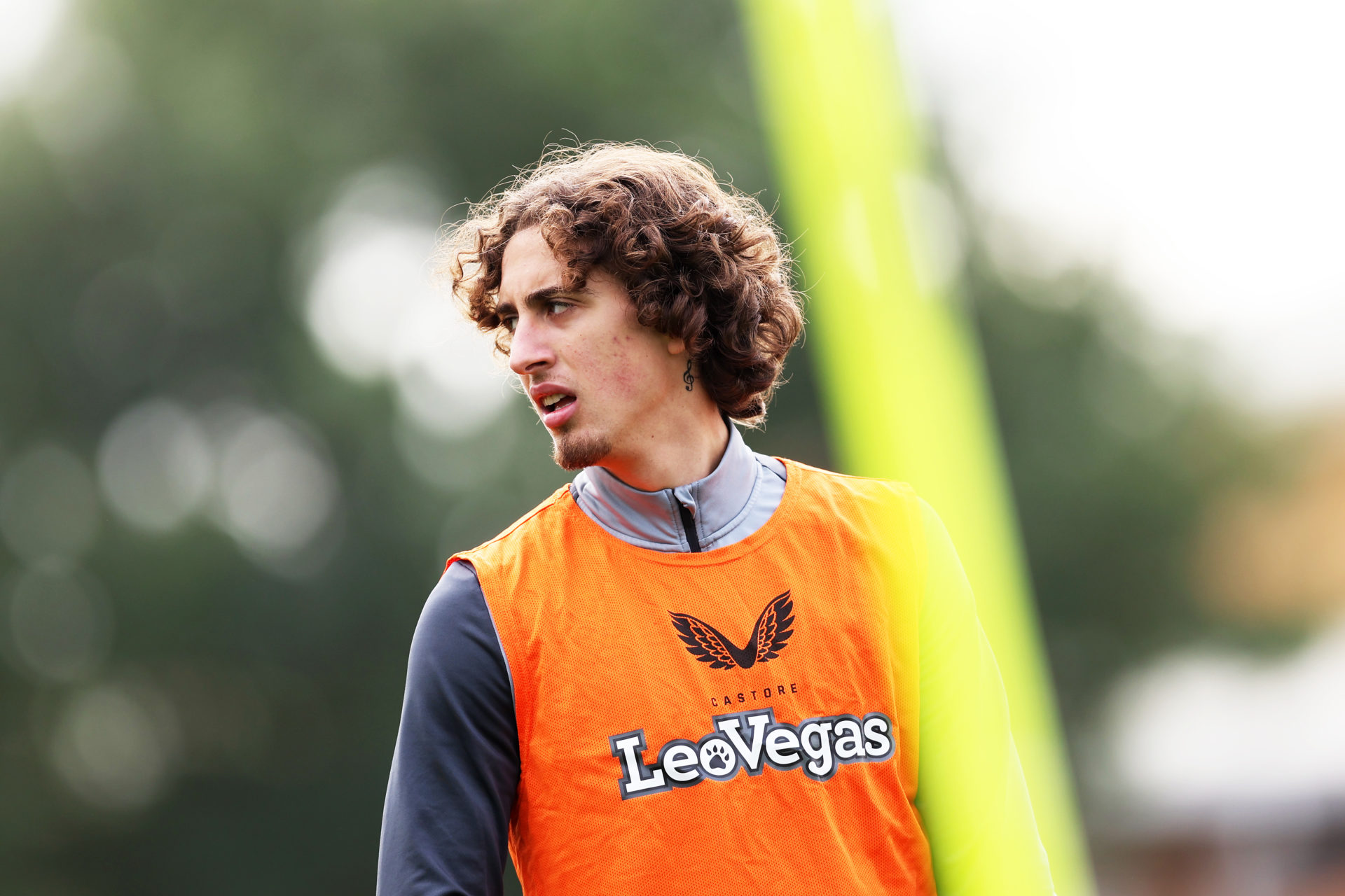 Genoa ready to approach Fabio Silva again as Wolves make transfer ...