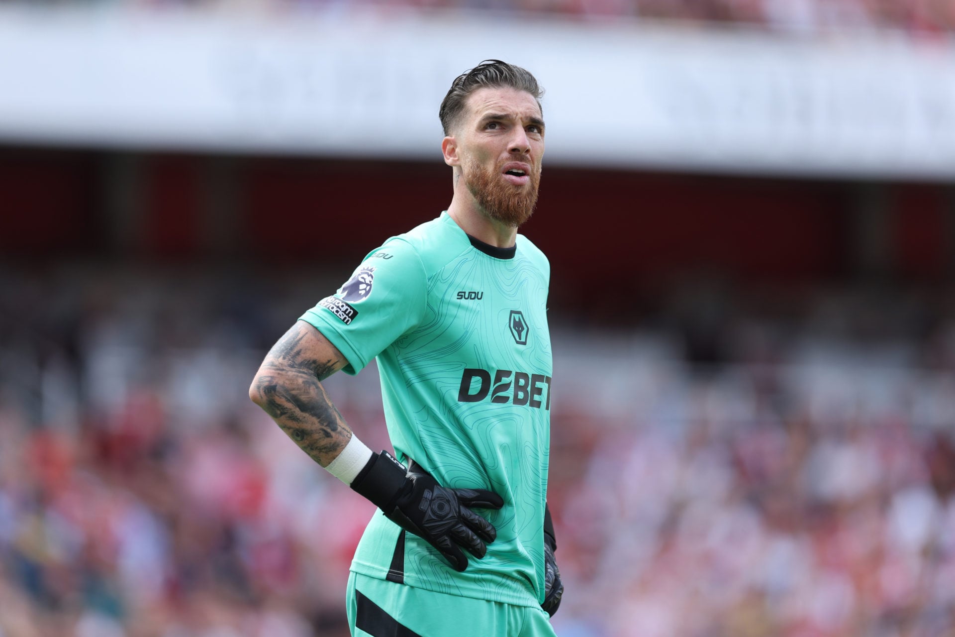 Sky Sports pundit thinks 'phenomenal' Wolves target would be an upgrade ...