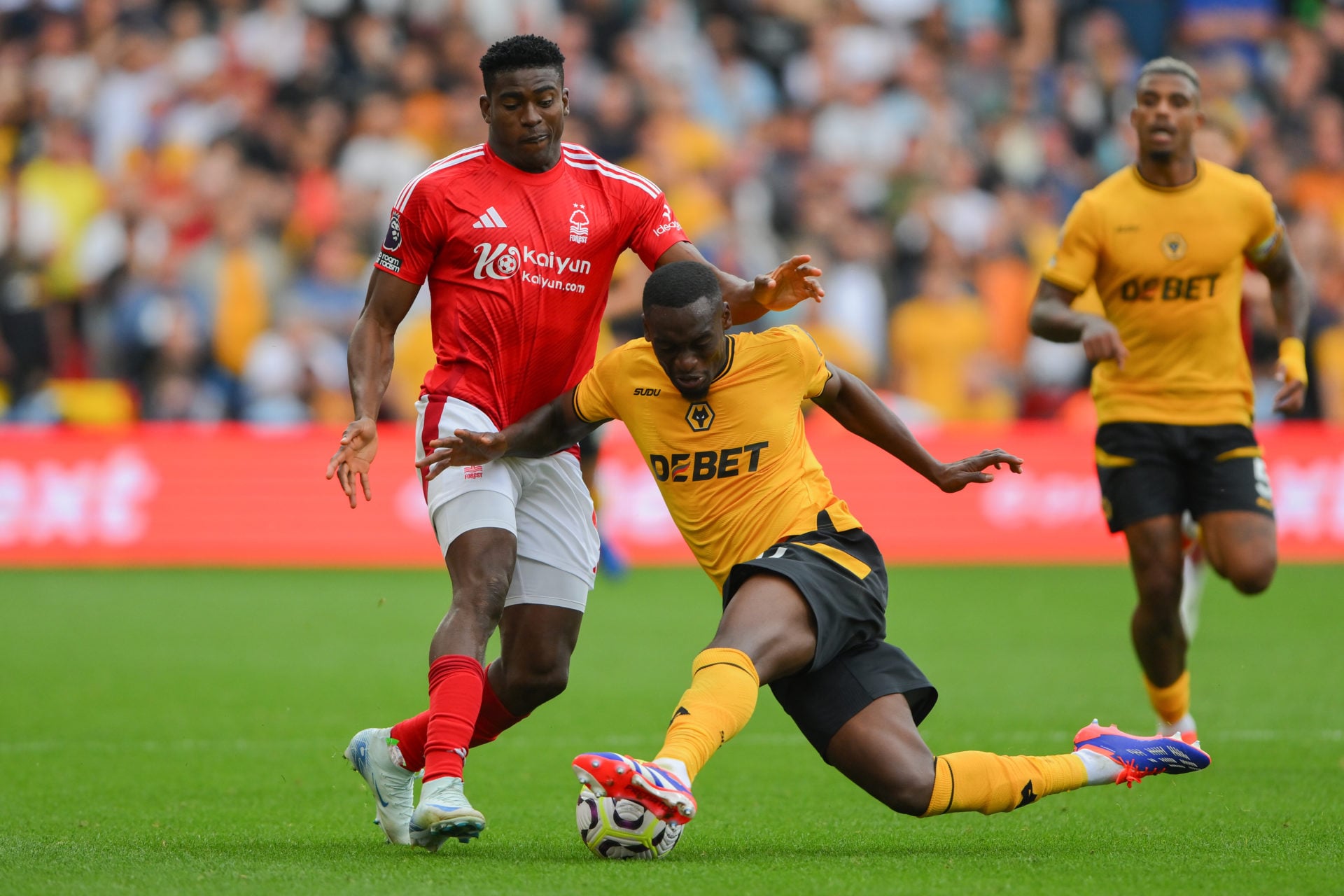 Wolves predicted lineup, team and injury news as Toti Gomes decision ...
