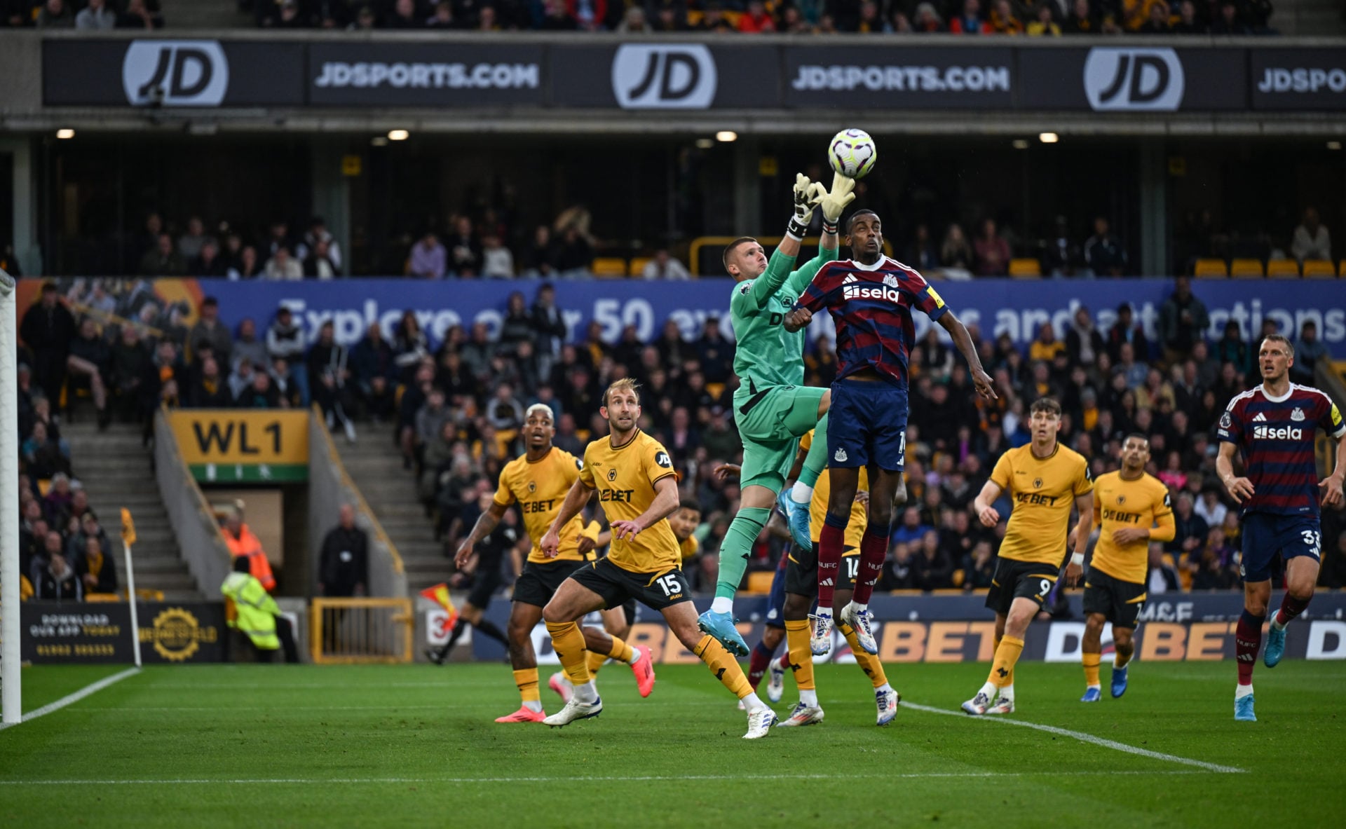 Wolves player ratings vs Newcastle, Andre impresses on full debut as ...