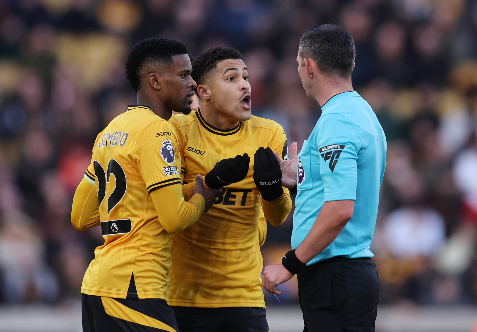 Nathan Judah drops interesting verdict on Joao Gomes becoming Wolves ...