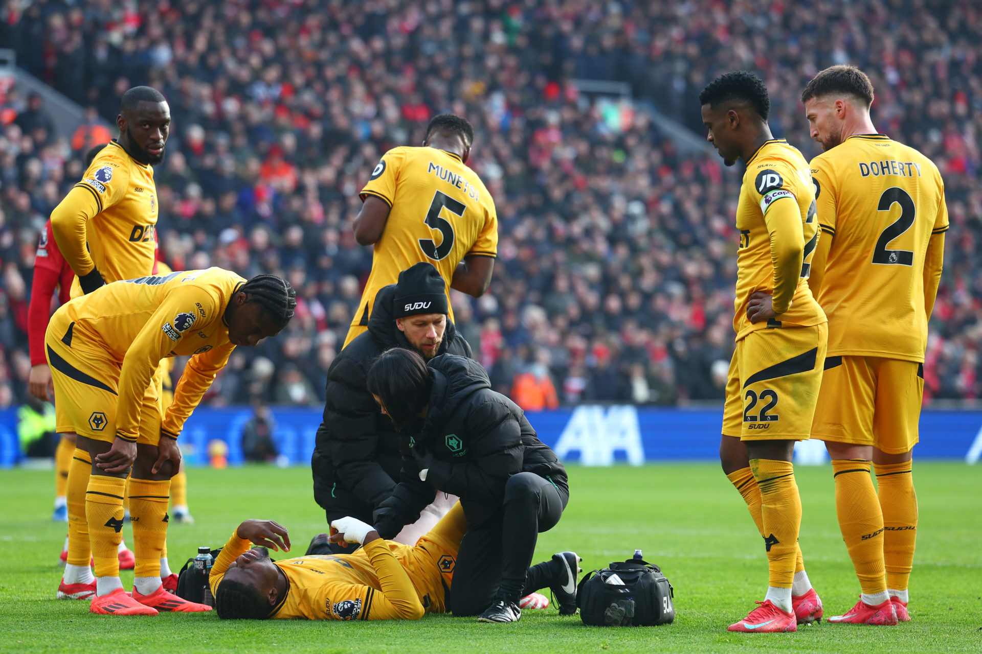 Dave Edwards thinks Wolves have now suffered a ‘big blow’ - it could be ...