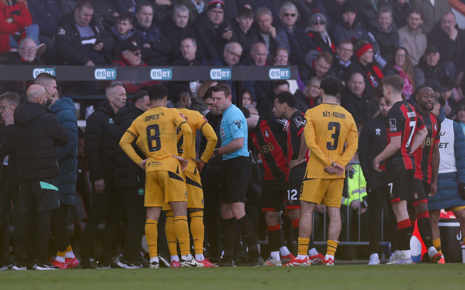 What Bournemouth and Wolves fans could be heard chanting during FA Cup ...