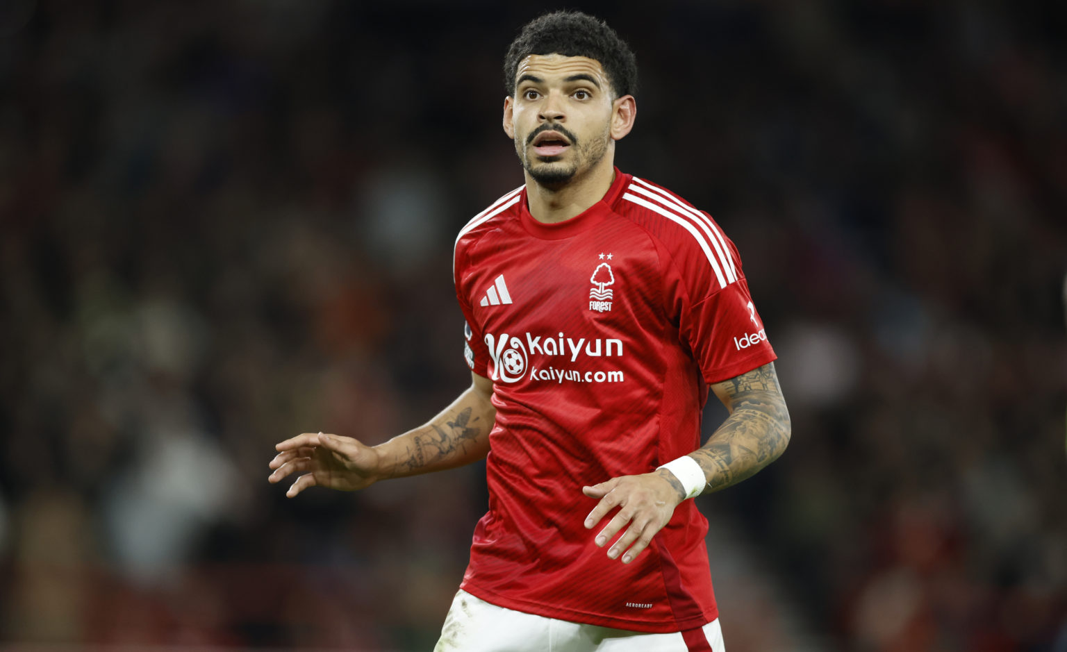 The amount Wolves could receive as Nottingham Forest slap ludicrous ...