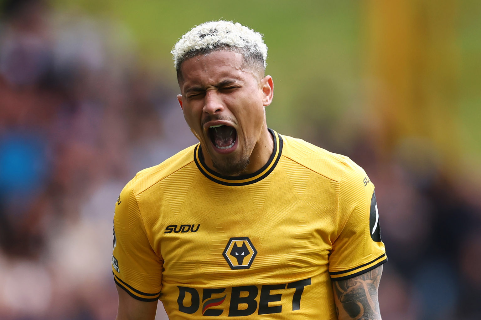 Nathan Judah drops interesting verdict on Joao Gomes becoming Wolves ...