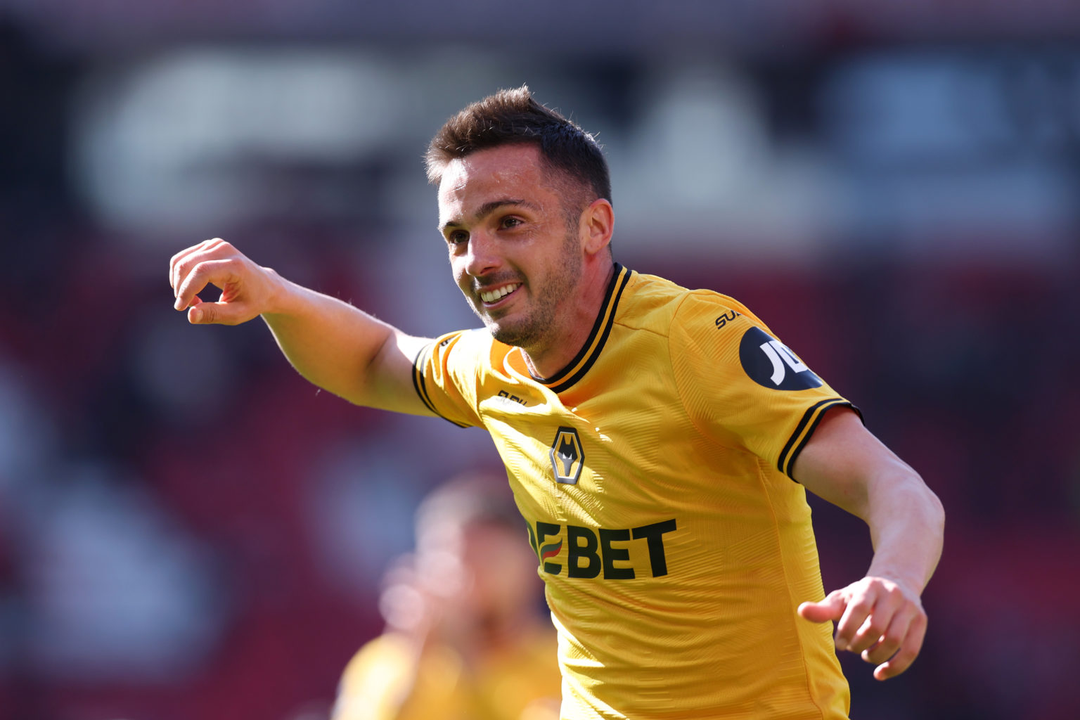 'Pull some strings Jeff Shi'... Wolves fans in agreement about Pablo ...