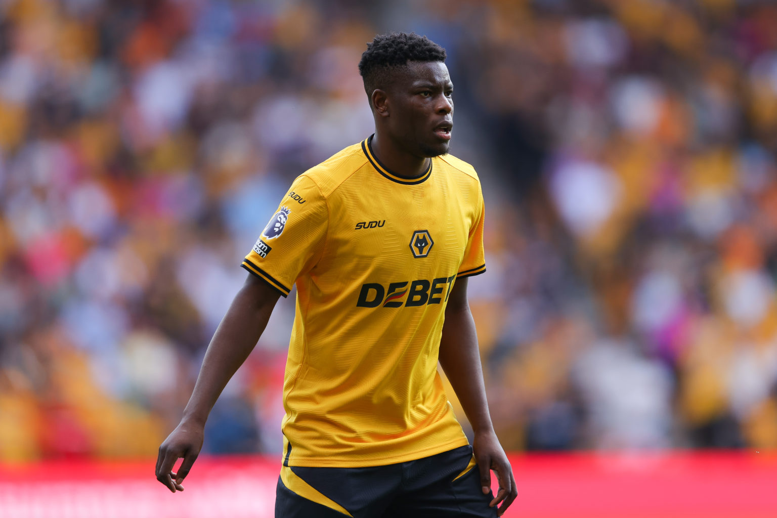 It's becoming clear what Marshall Munetsi's role at Wolves should be ...