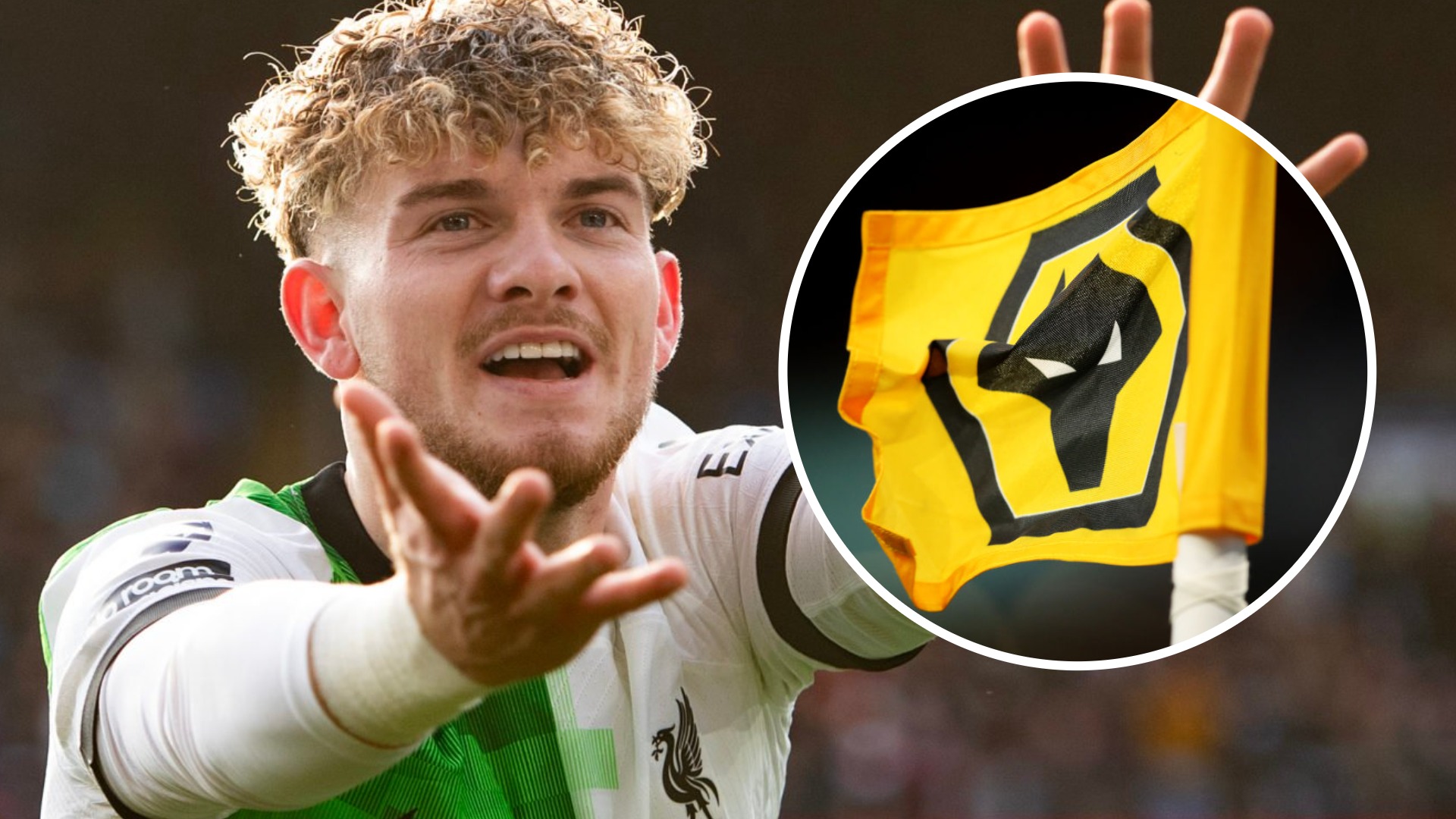 Liam Keen shares the chances of Wolves signing Harvey Elliott from ...