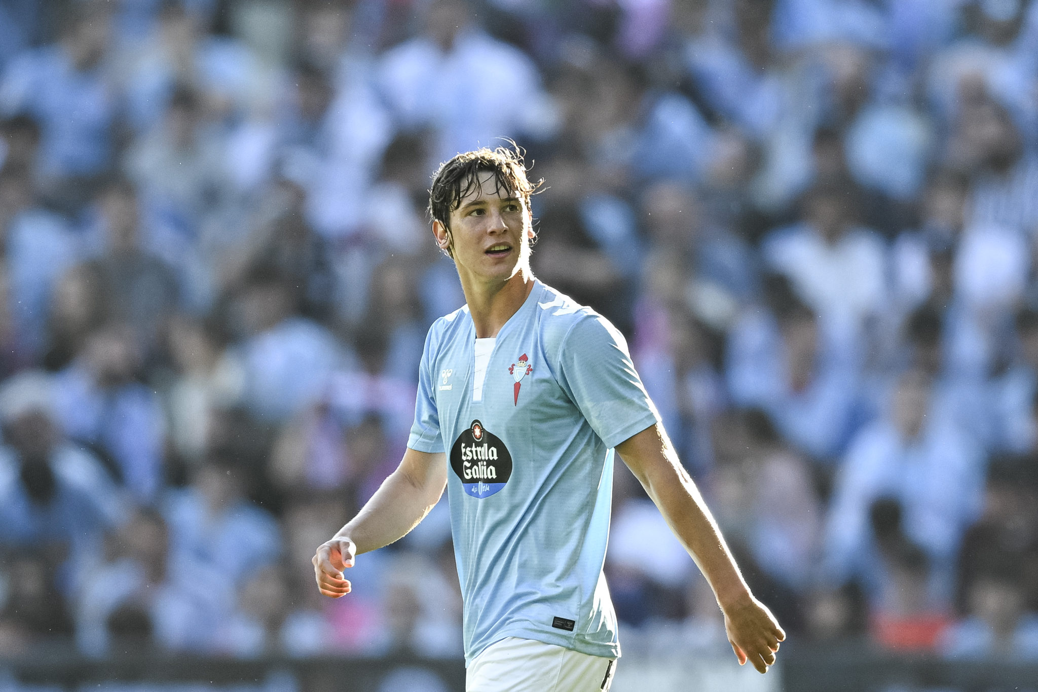 'Crazy'... Wolves fans react to major transfer development over Fer Lopez