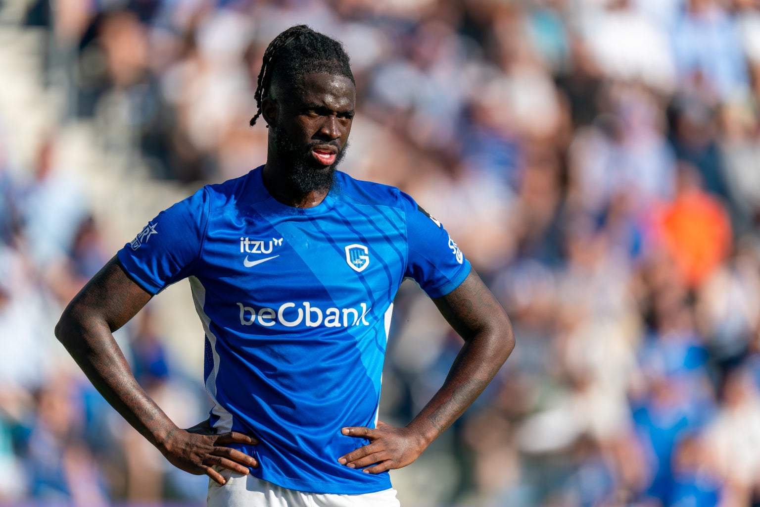 Who is Tolu Arokodare? Everything Wolves fans need to know about £24m ...