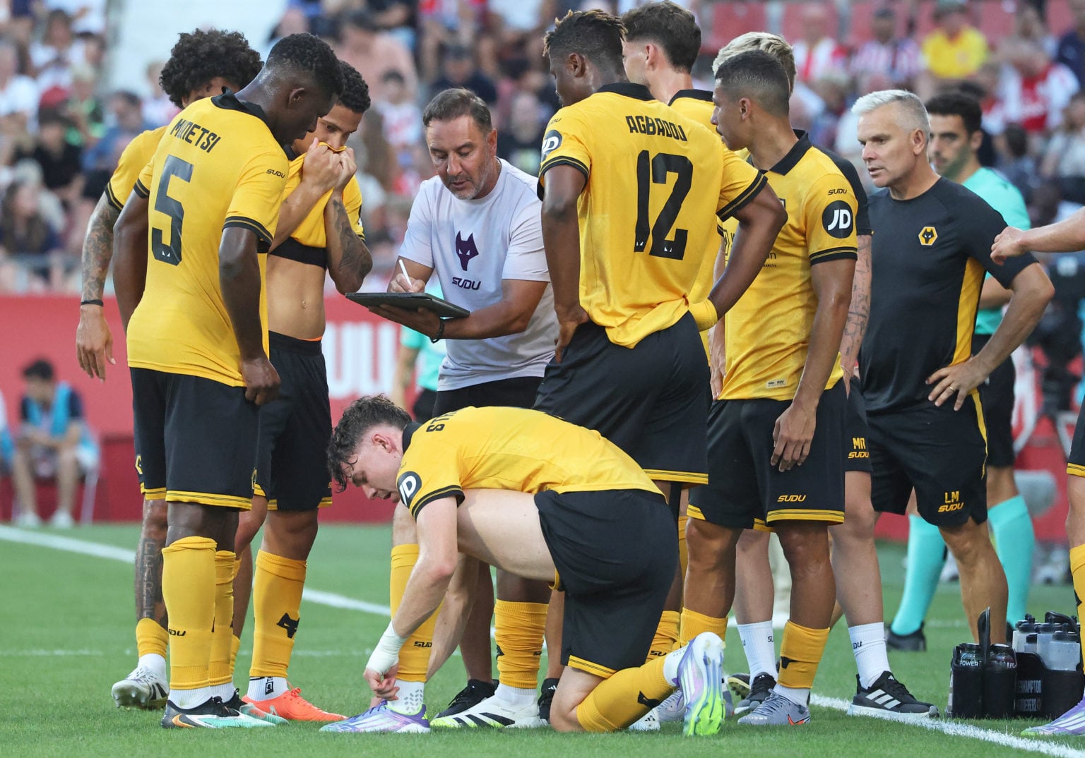 Wolves star can only make the bench as injury update emerges ahead of ...