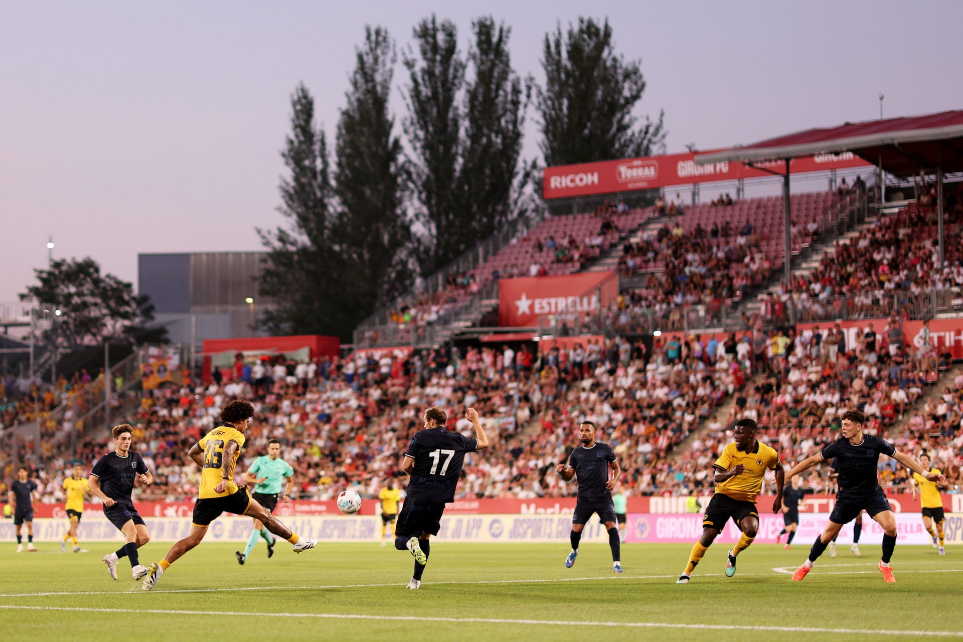 Wolves player ratings vs Girona as Jhon Arias scores on his debut but ...