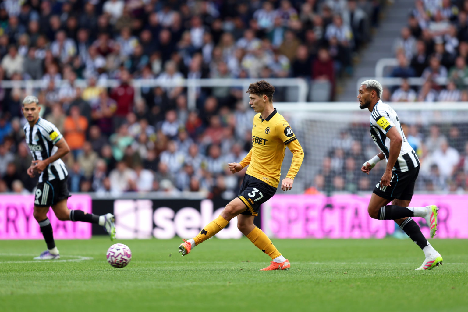 Dave Edwards left so impressed with one Wolves ace vs Newcastle, he ...
