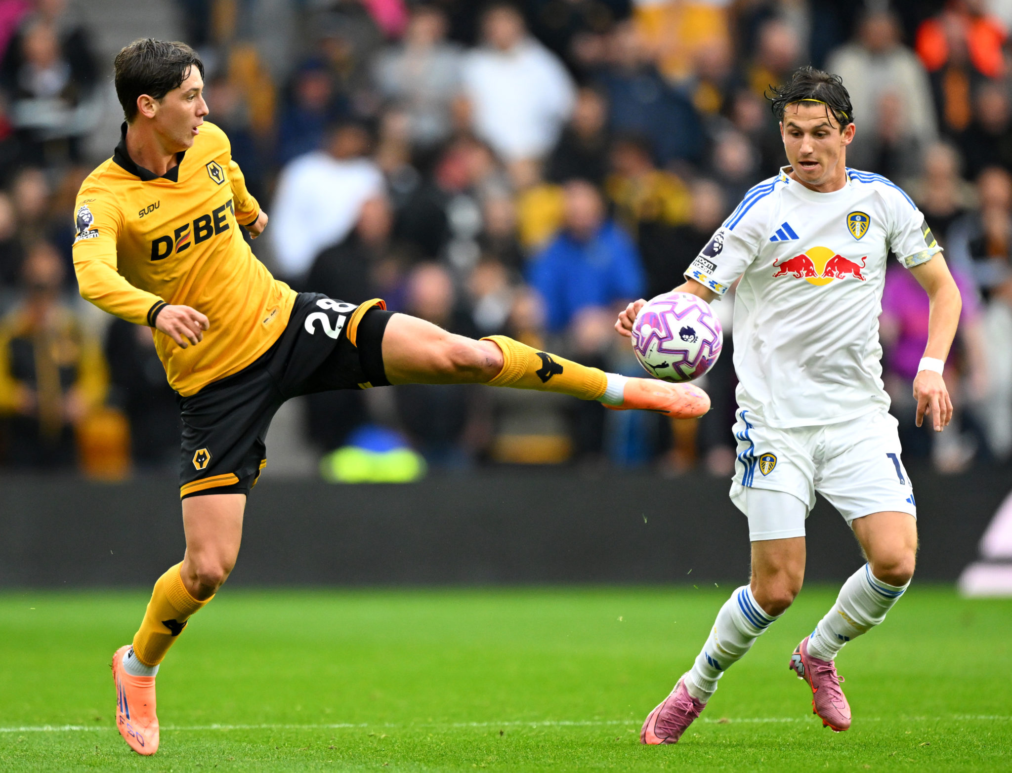 Wolves fans are all saying the same thing about Fer Lopez after his ...